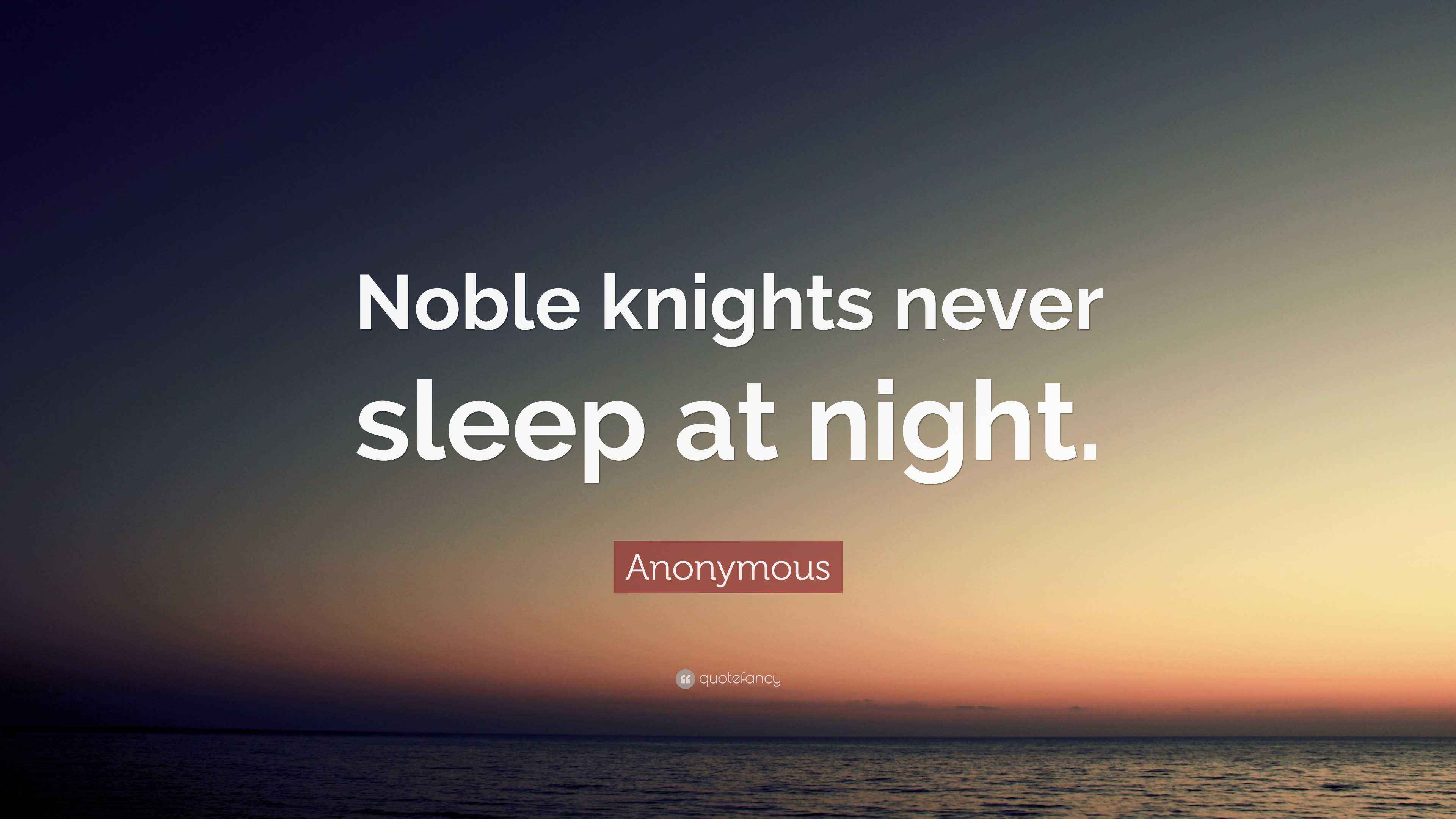 Anonymous Quote: “Noble knights never sleep at night.”
