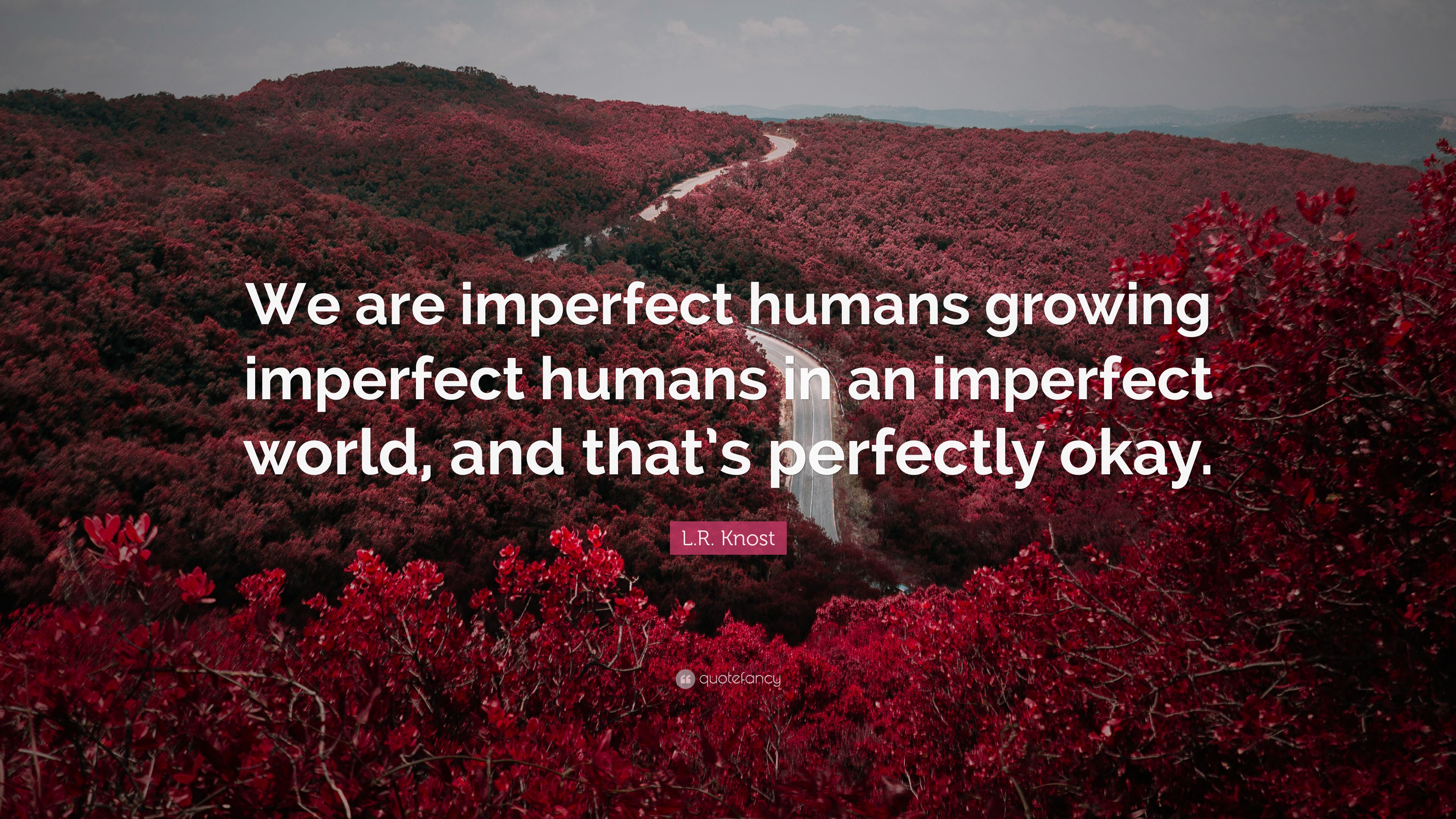 L.R. Knost Quote: “We are imperfect humans growing imperfect humans in ...