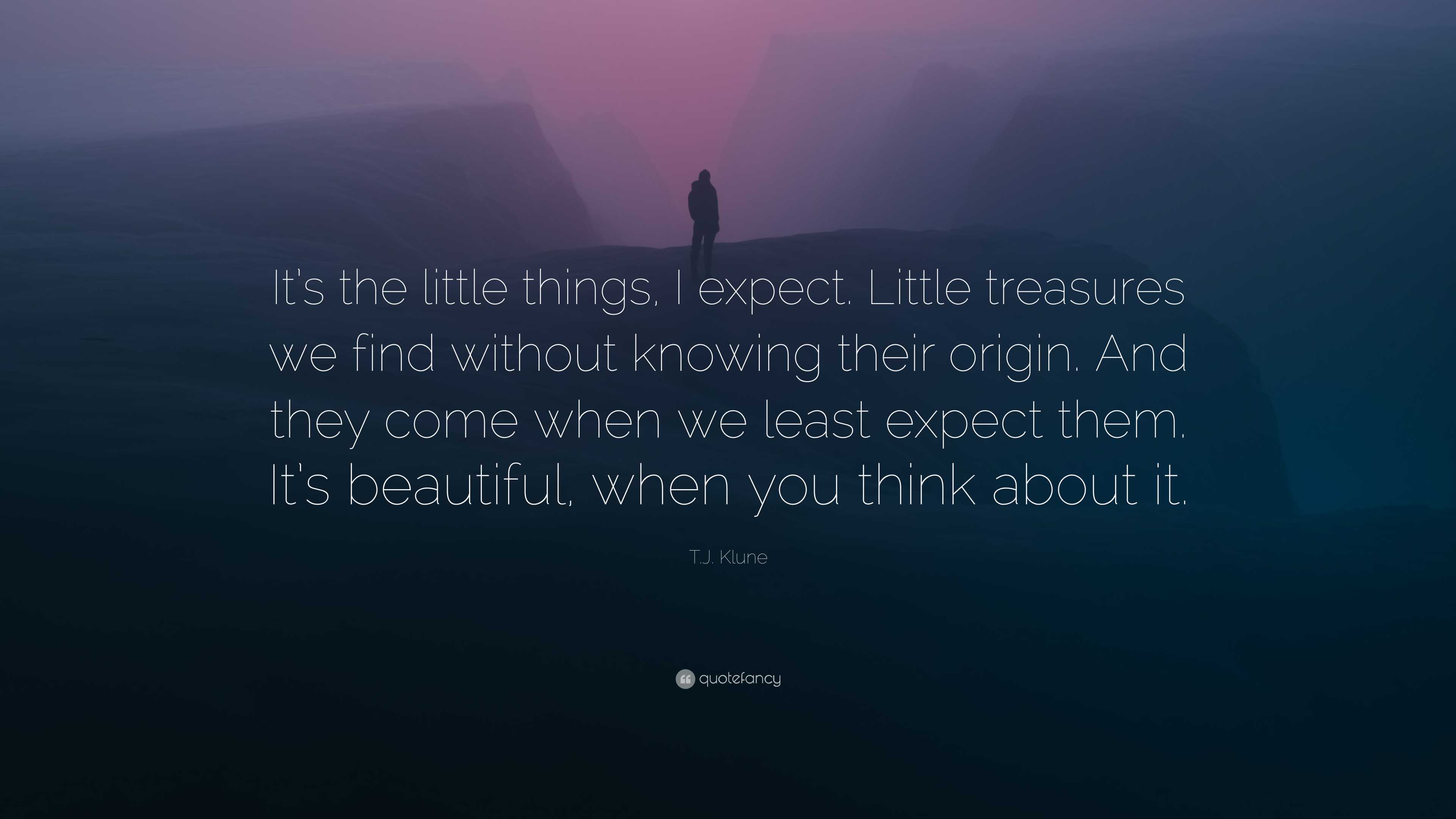 T.J. Klune Quote: “It’s the little things, I expect. Little treasures ...