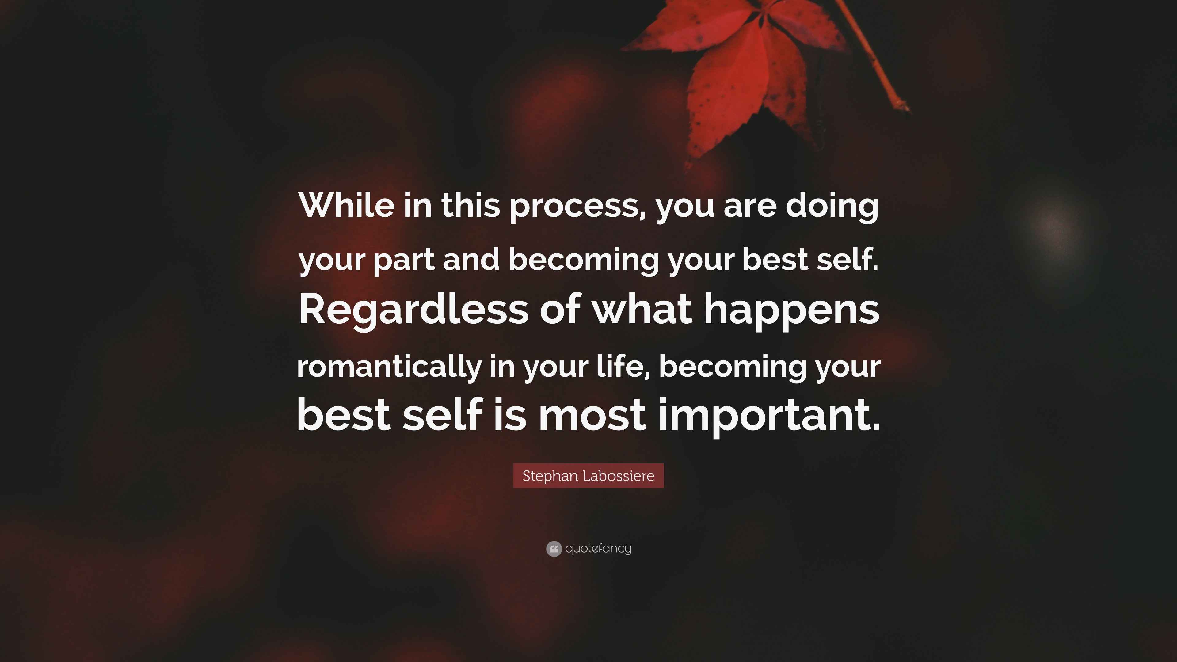 Stephan Labossiere Quote: “While in this process, you are doing your ...