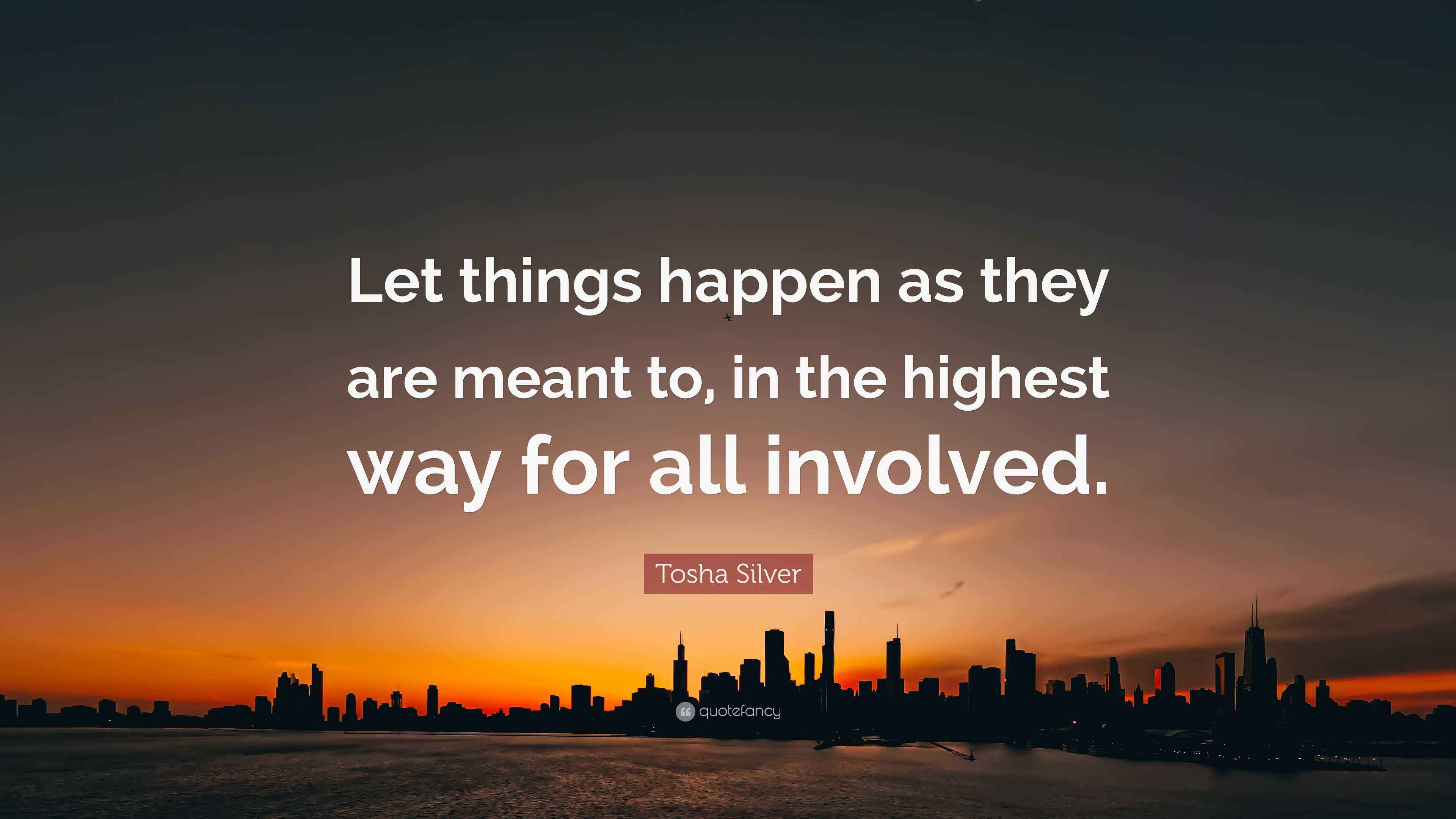 Tosha Silver Quote: “Let things happen as they are meant to, in the ...