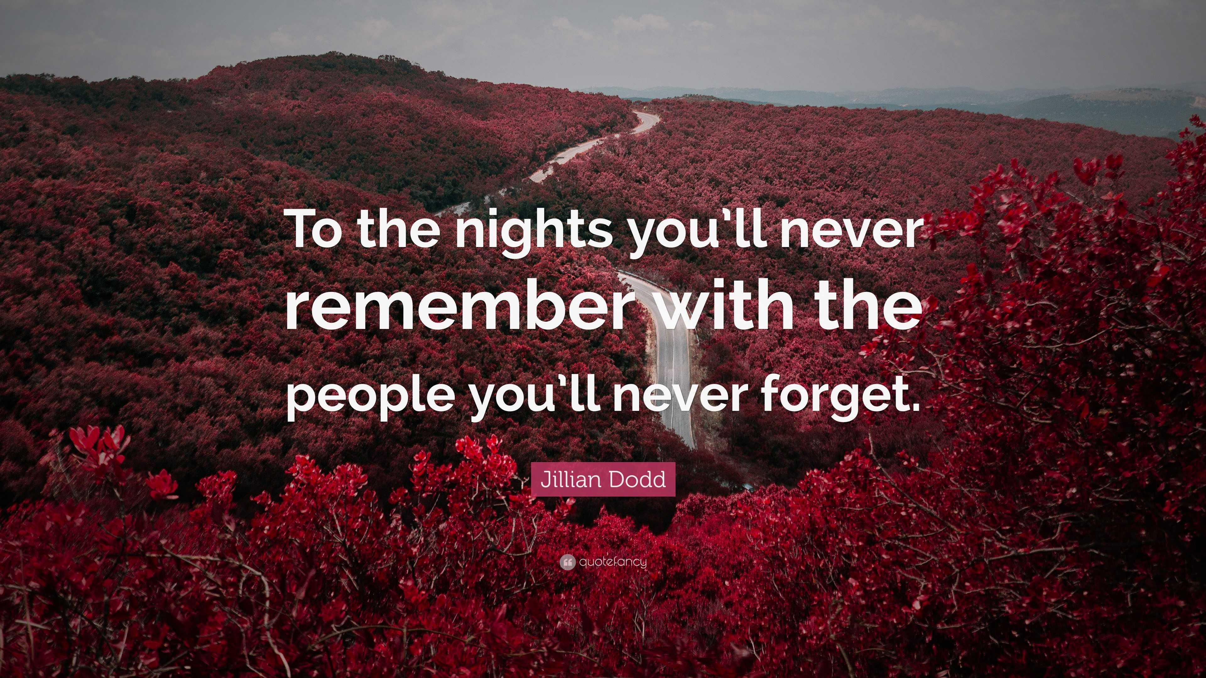 Jillian Dodd Quote: “To the nights you’ll never remember with the ...