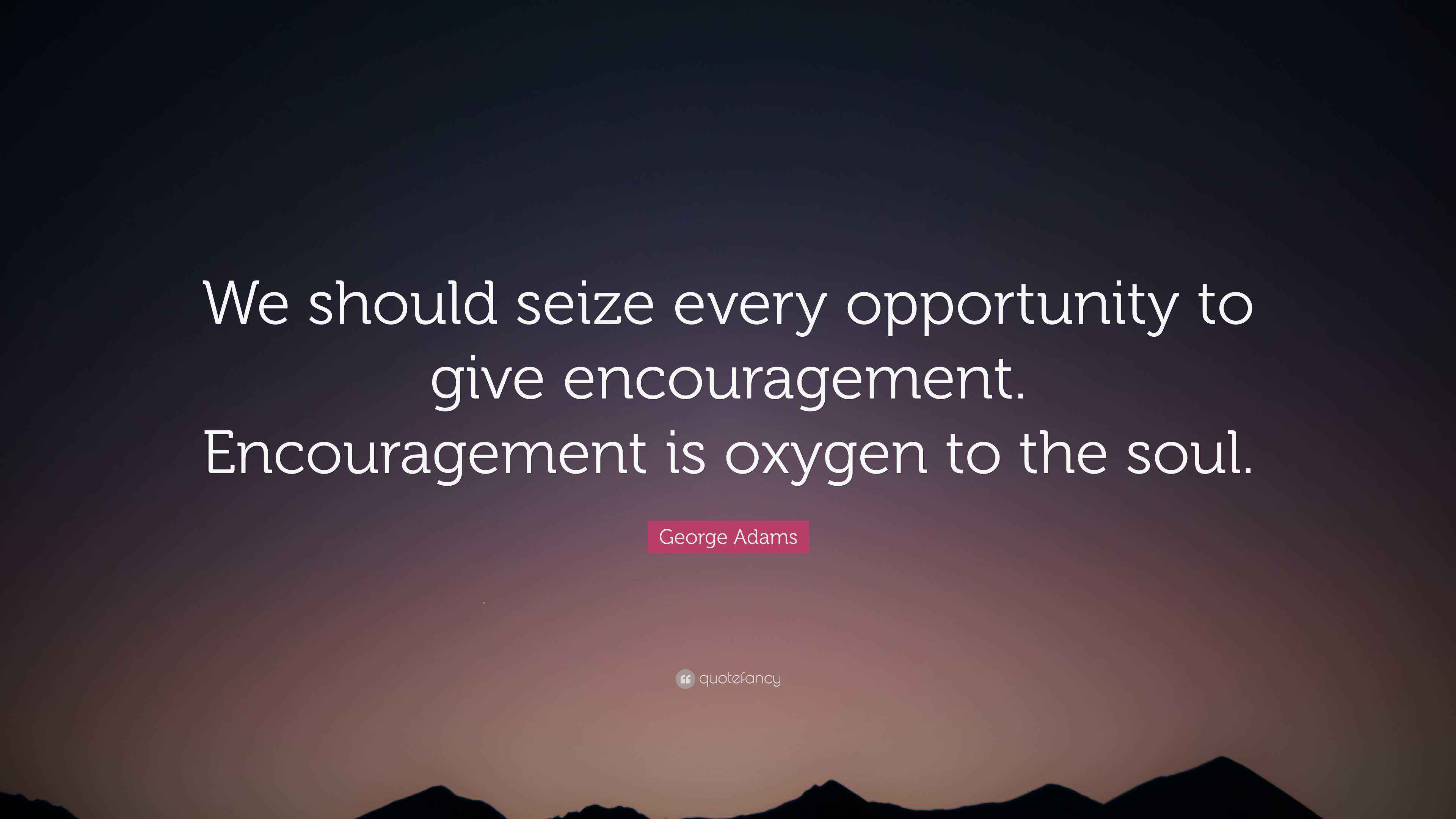 George Adams Quote: “We should seize every opportunity to give ...
