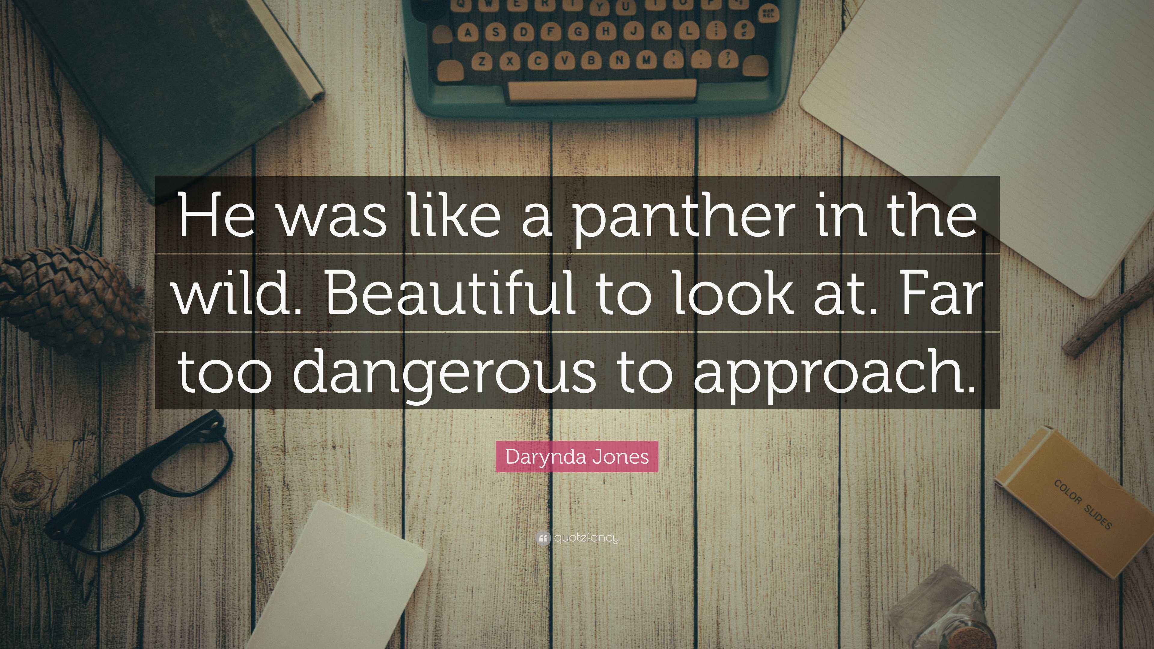 Darynda Jones Quote: “He was like a panther in the wild. Beautiful to ...