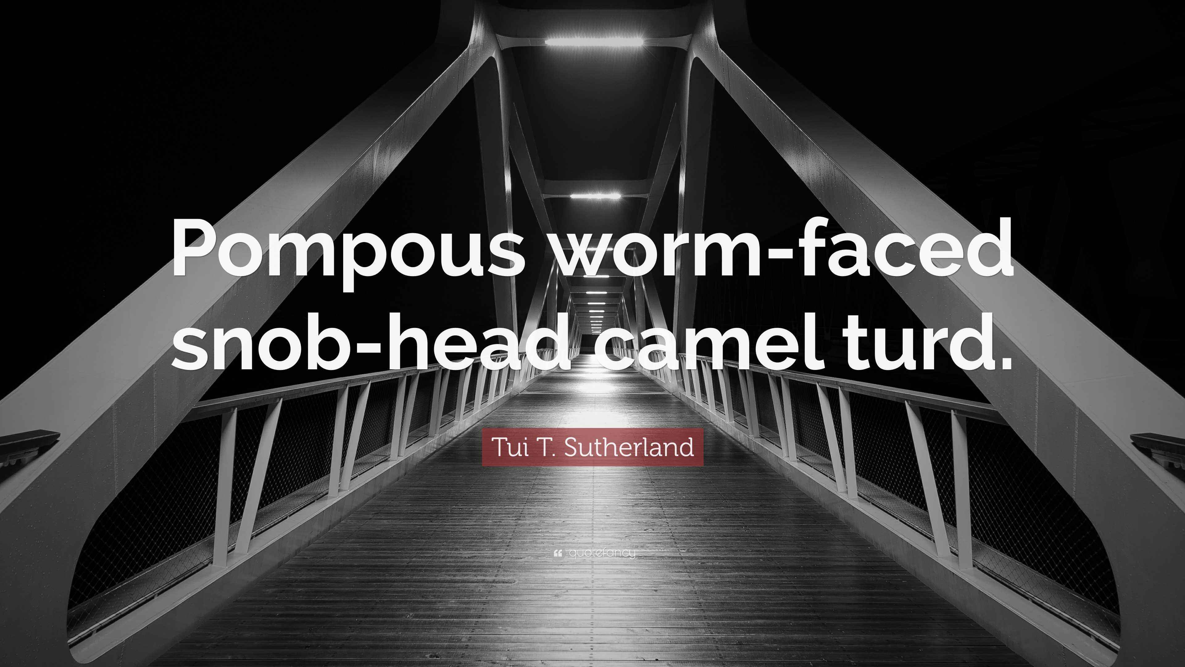 Tui T. Sutherland Quote: “Pompous worm-faced snob-head camel turd.”