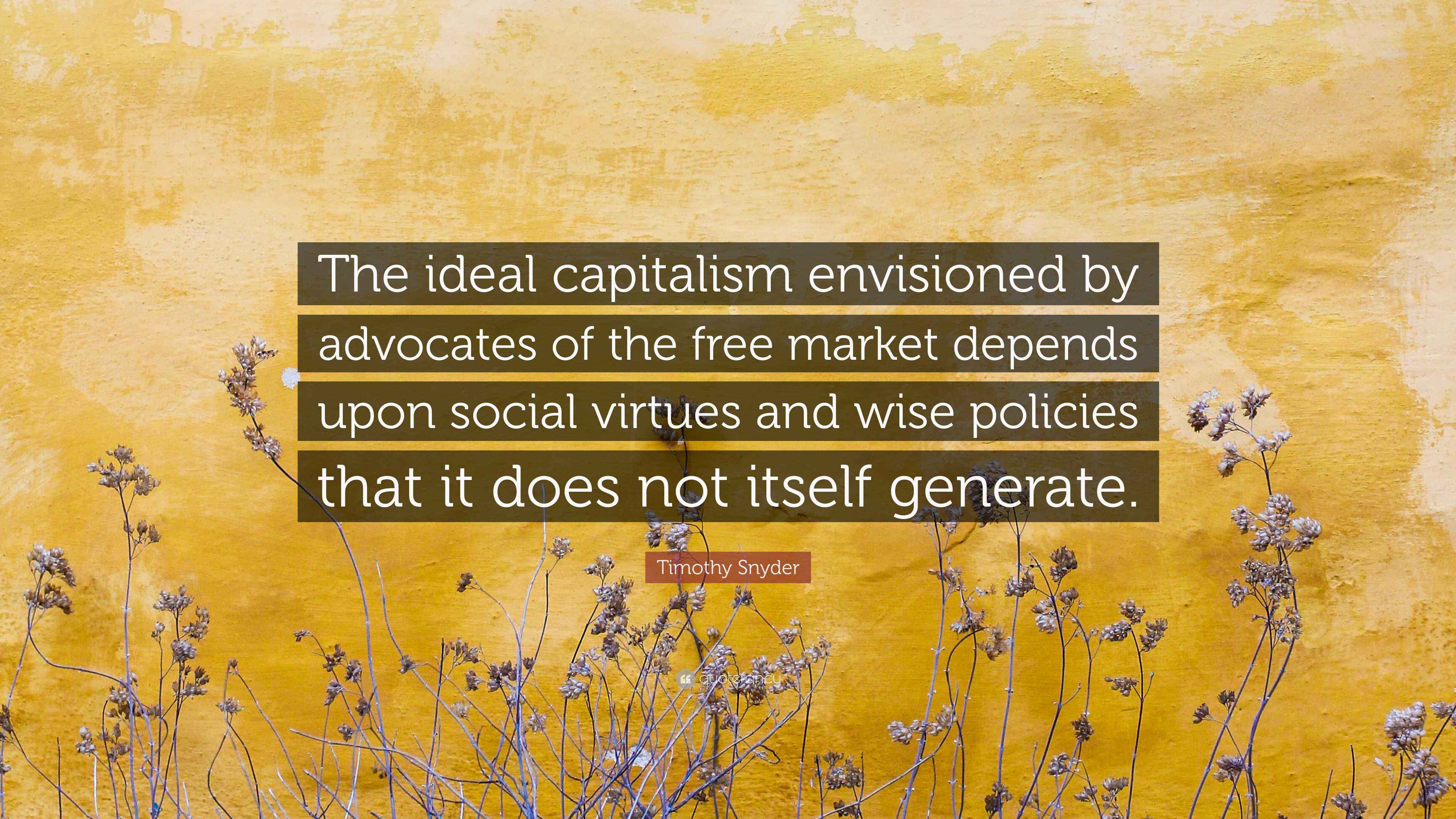 Timothy Snyder Quote: “The ideal capitalism envisioned by advocates of ...