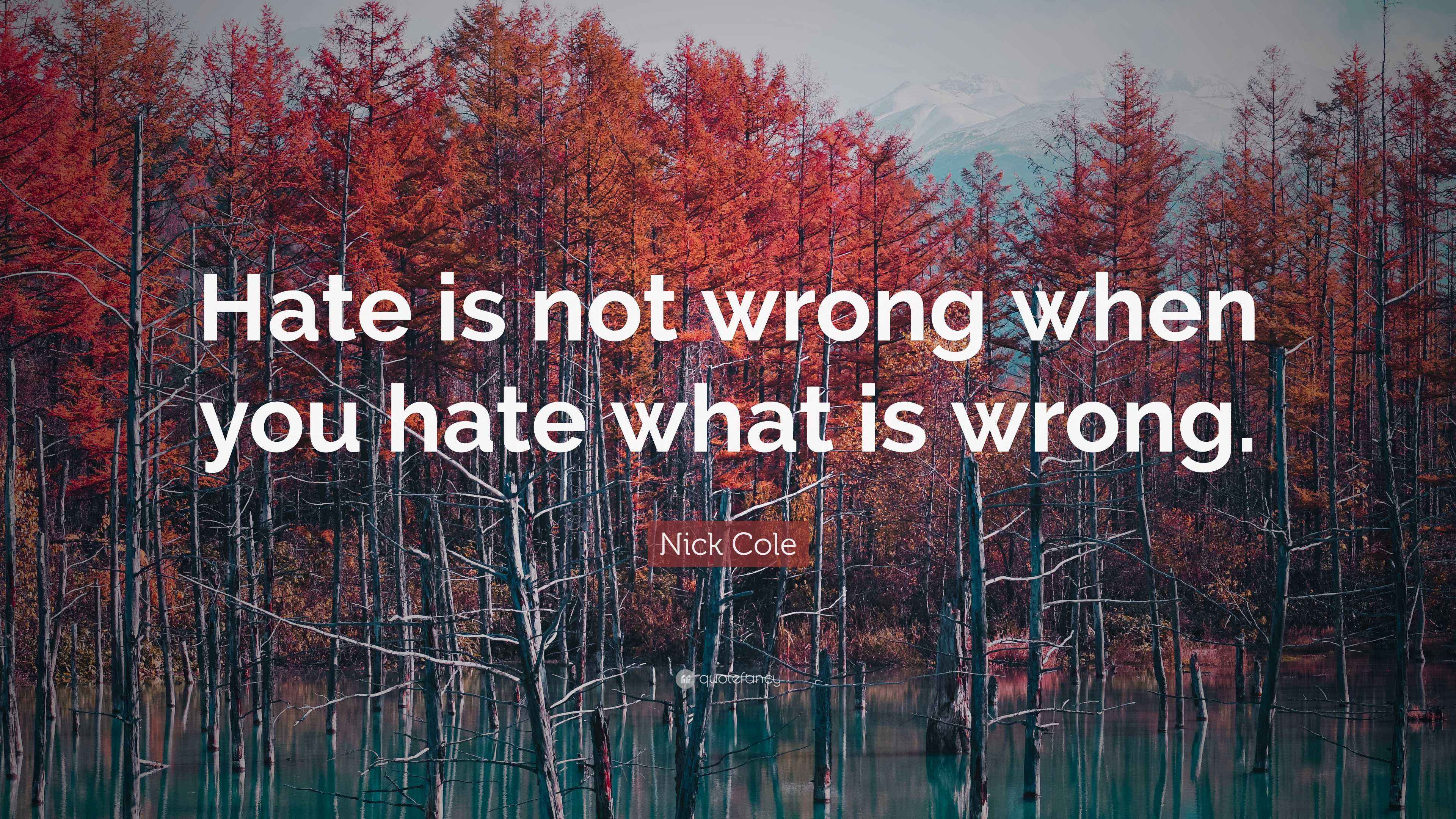 Nick Cole Quote: “Hate is not wrong when you hate what is wrong.”