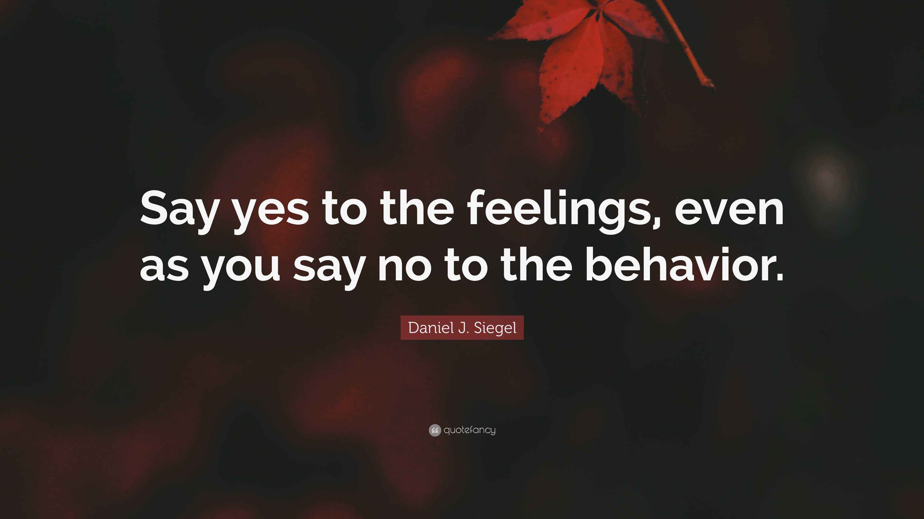 Daniel J. Siegel Quote: “Say yes to the feelings, even as you say no to ...