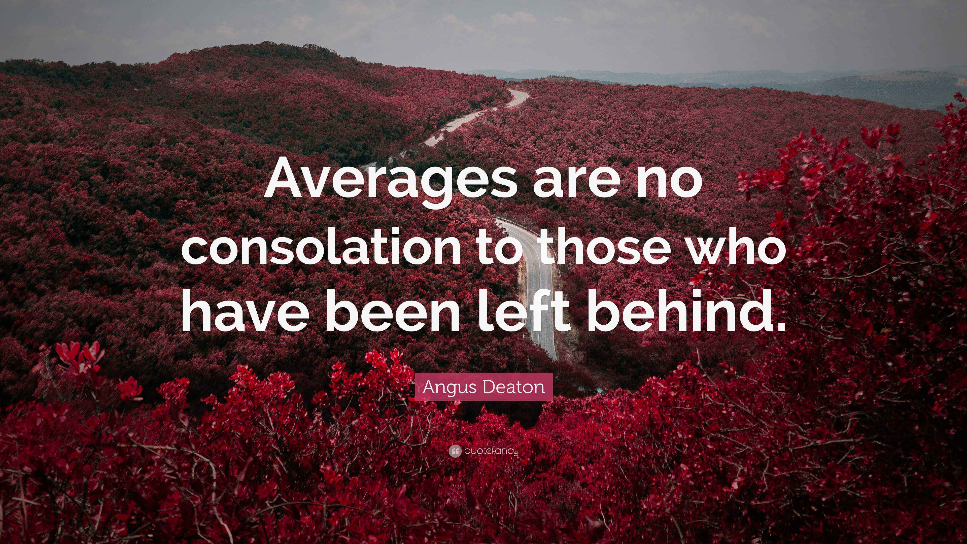 Angus Deaton Quotes Poverty, Inequality, And The World Distribution Of
