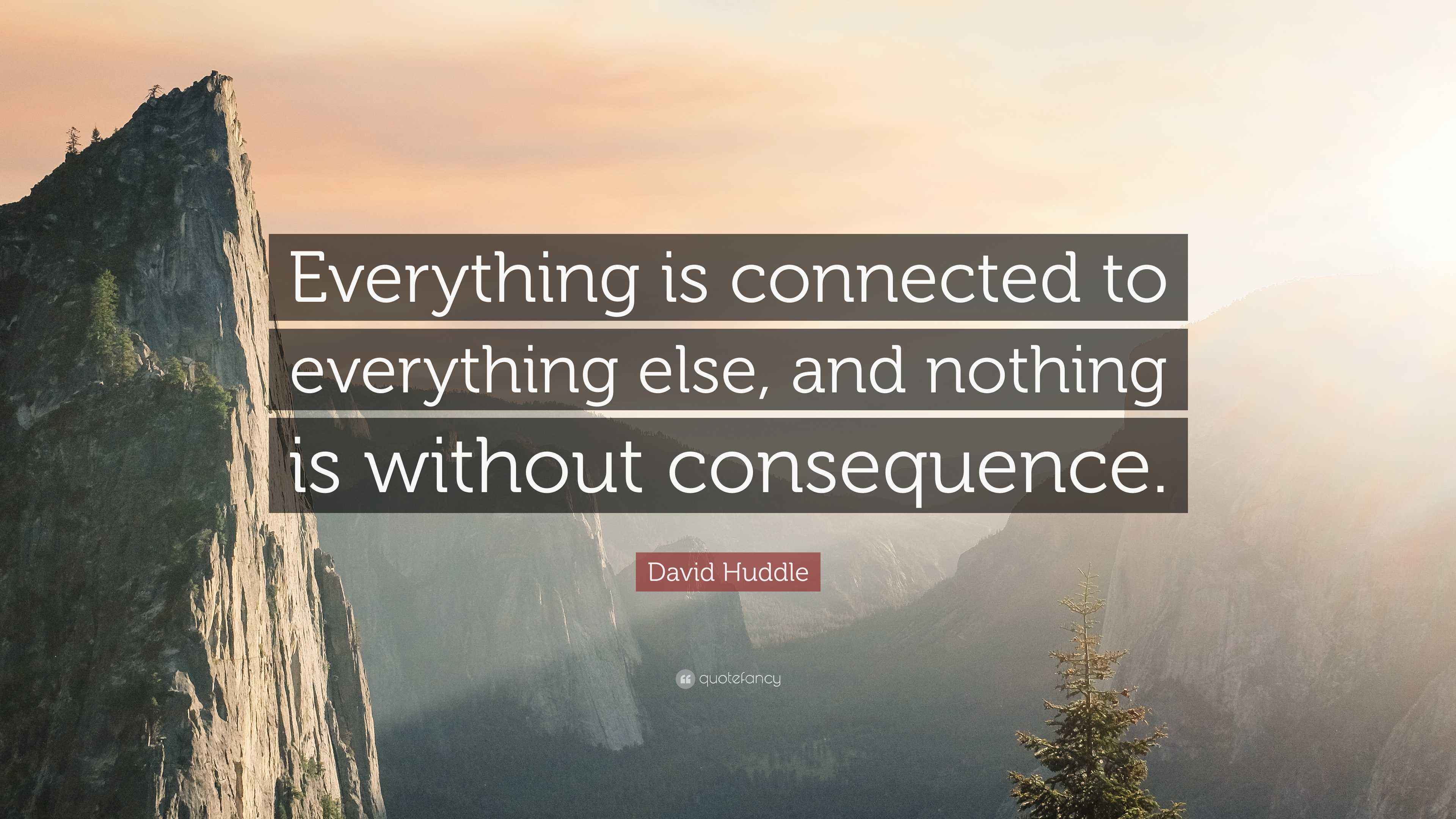 David Huddle Quote: “Everything is connected to everything else, and ...