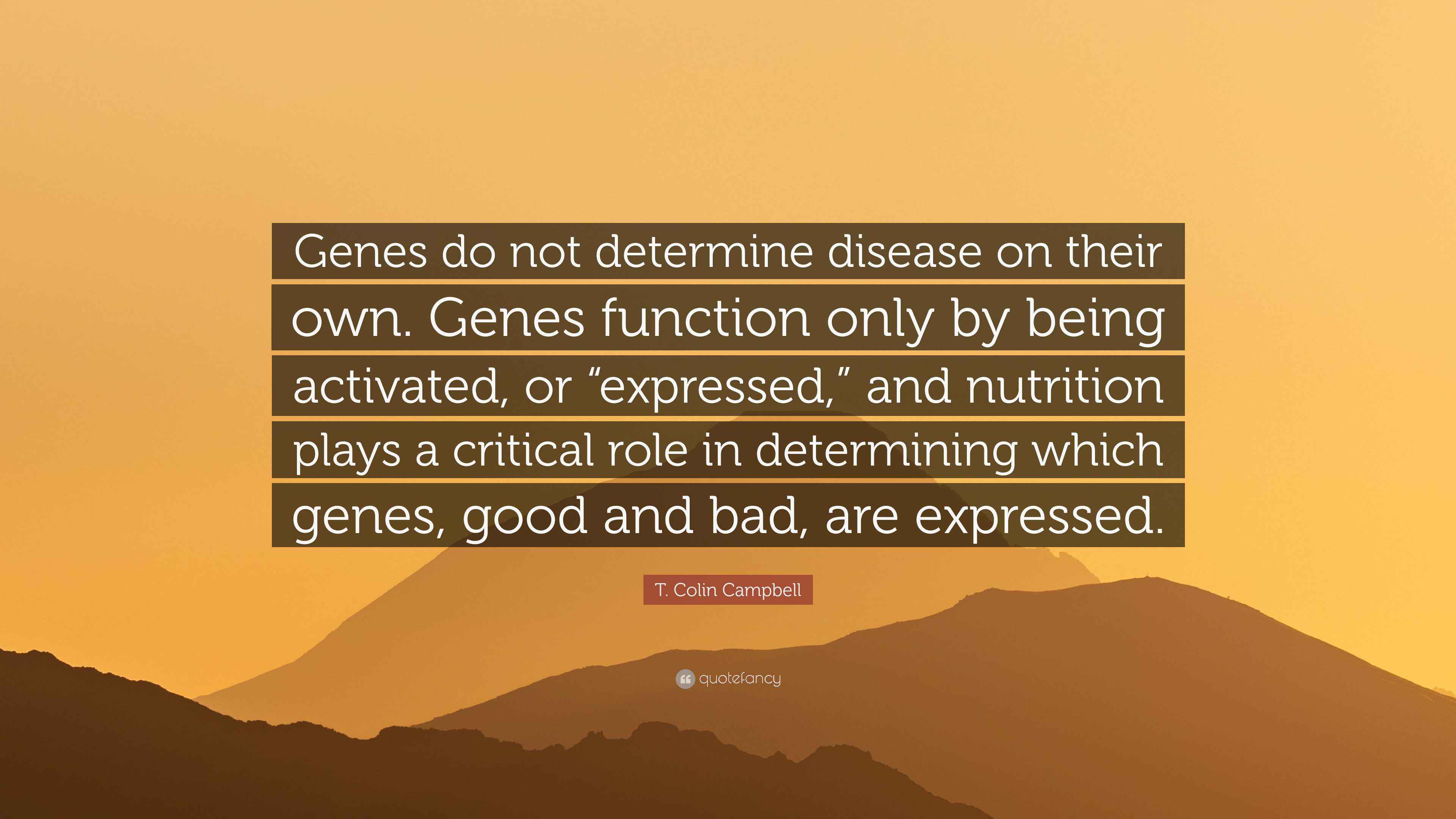 T. Colin Campbell Quote: “Genes do not determine disease on their own ...