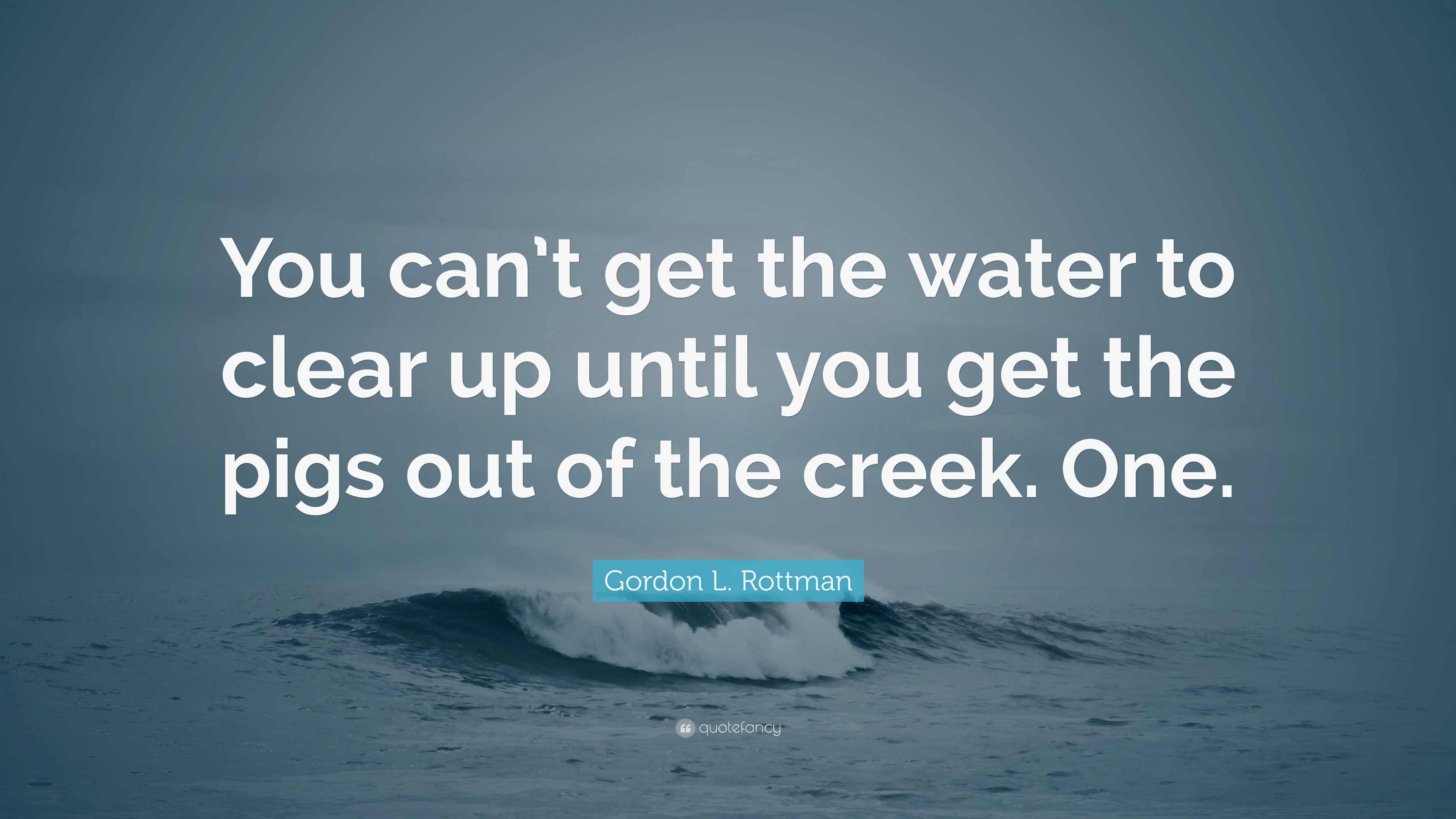 Gordon L. Rottman Quote: “You can’t get the water to clear up until you ...
