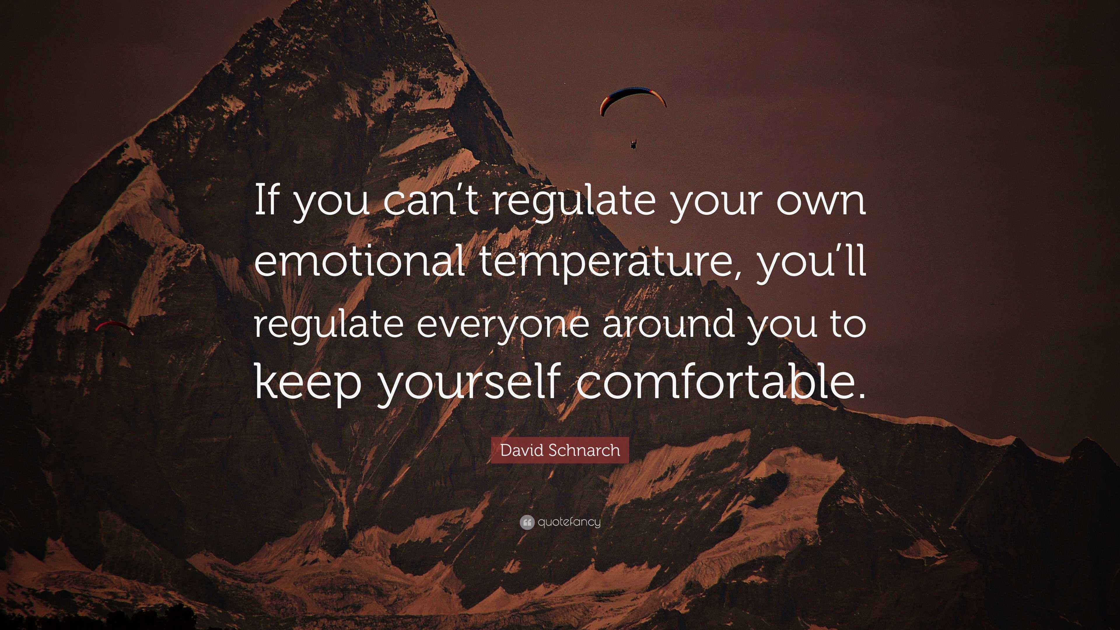 David Schnarch Quote: “If you can’t regulate your own emotional ...