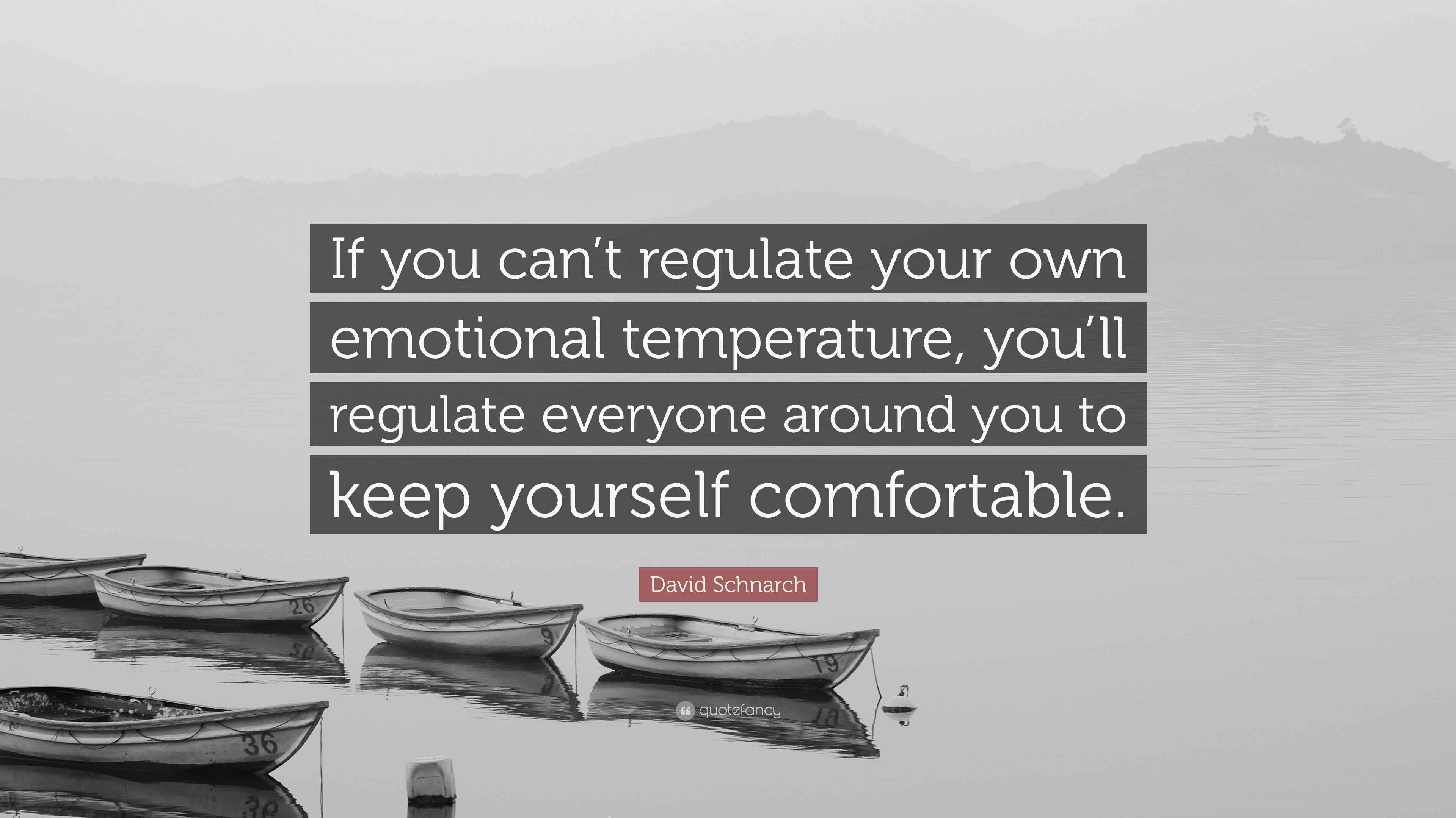 David Schnarch Quote: “If you can’t regulate your own emotional ...