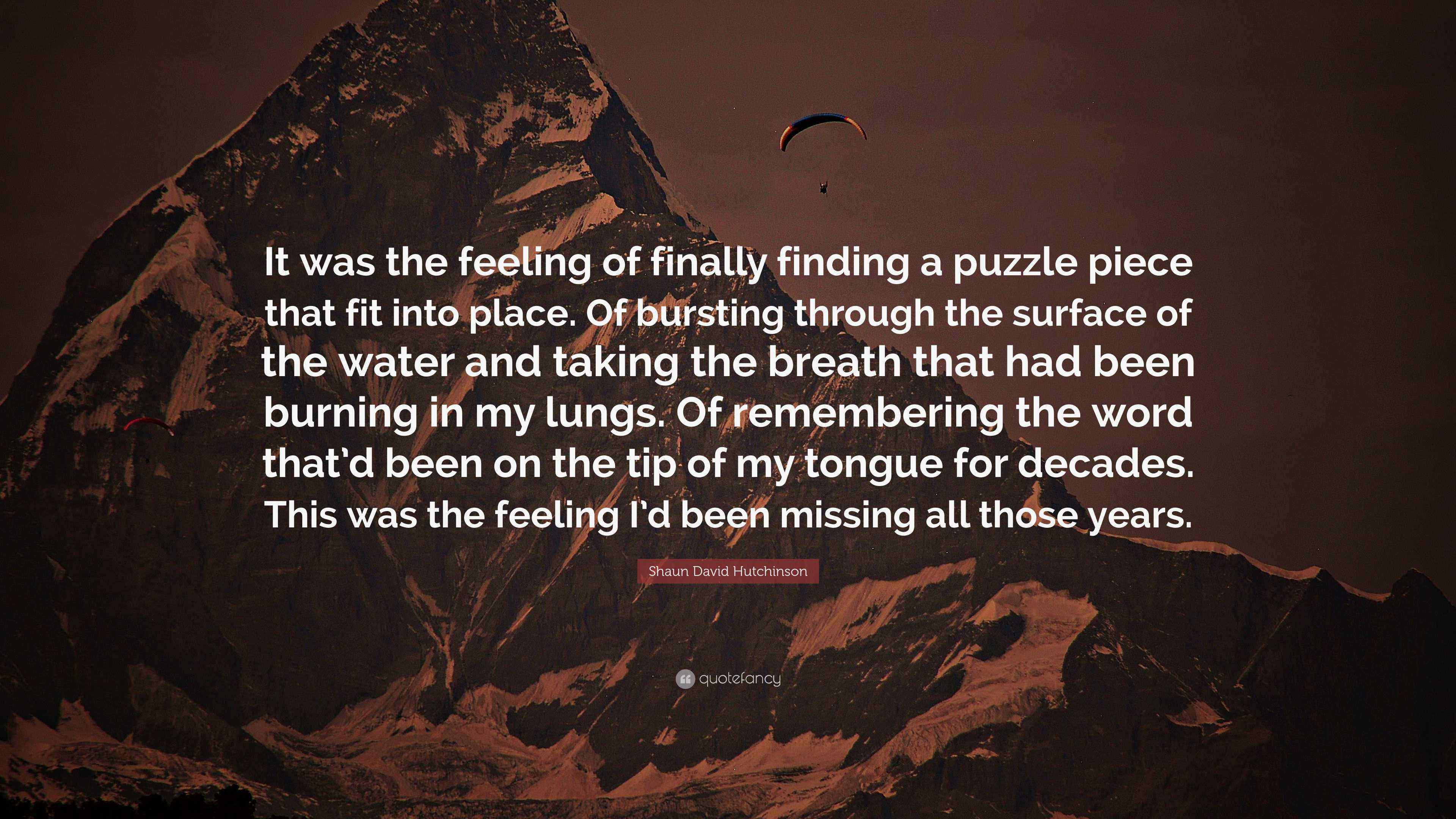 Shaun David Hutchinson Quote: “It was the feeling of finally finding a ...