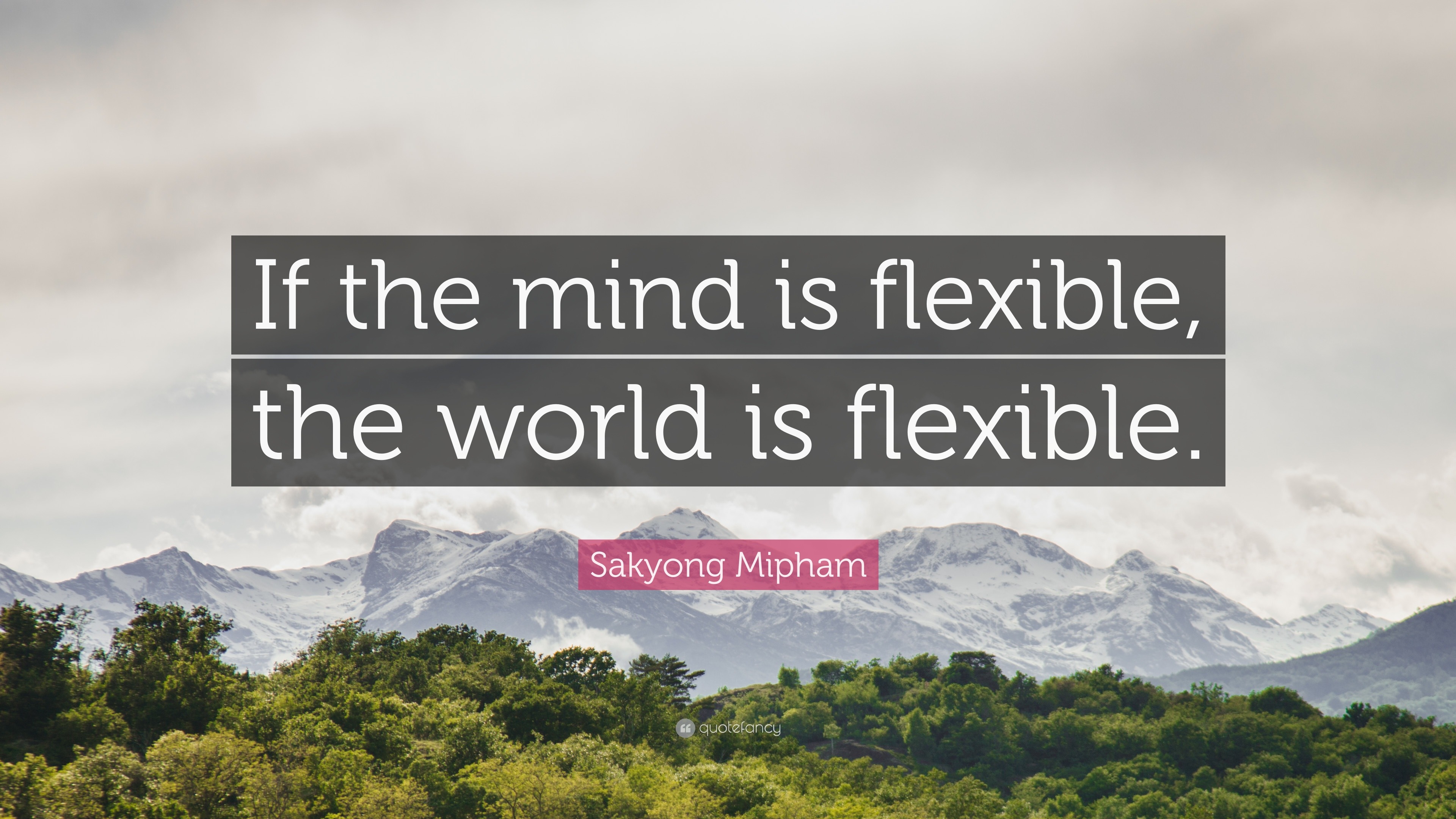 Flexible Thinking Quotes