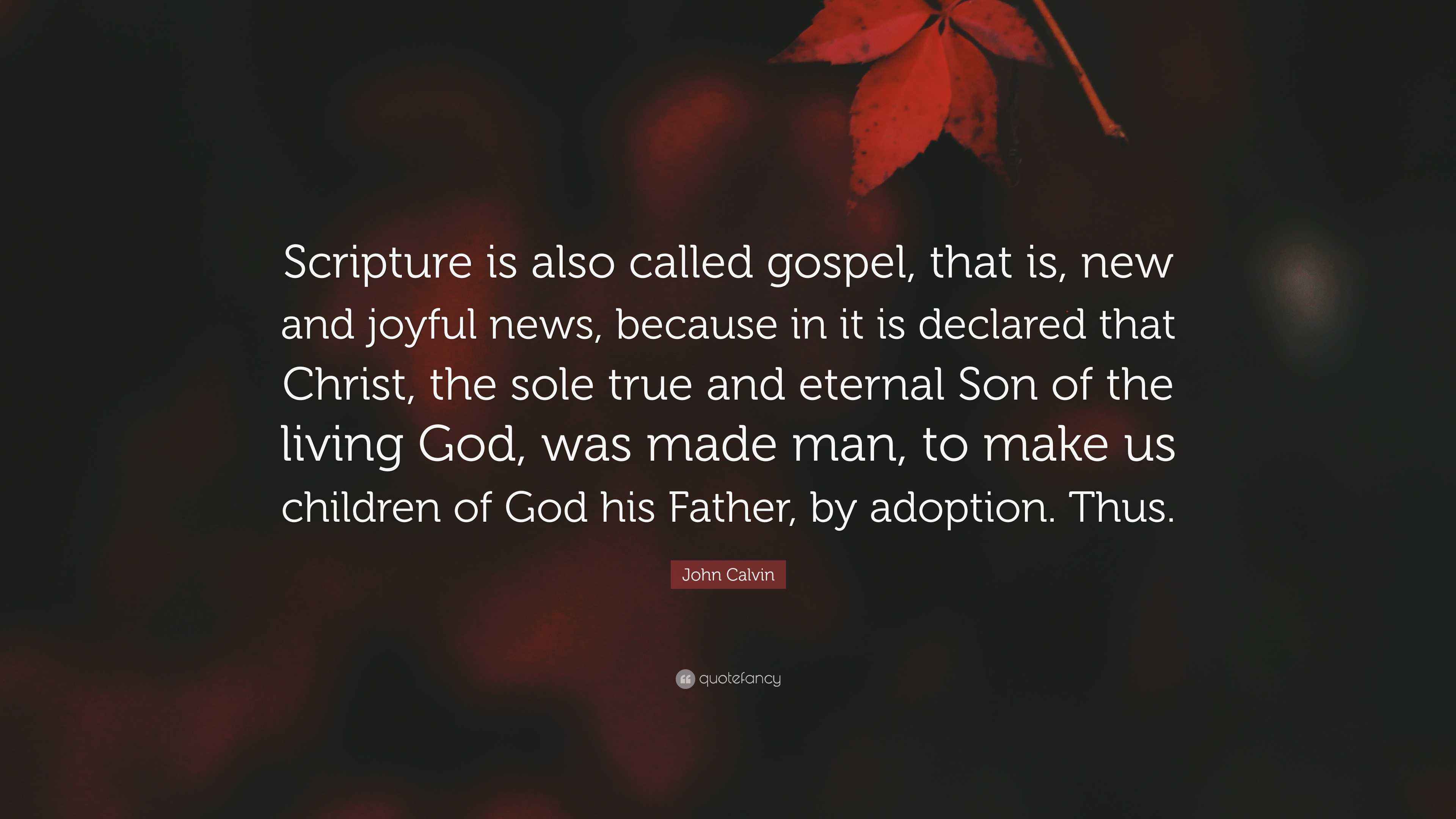 John Calvin Quote: “Scripture is also called gospel, that is, new and ...