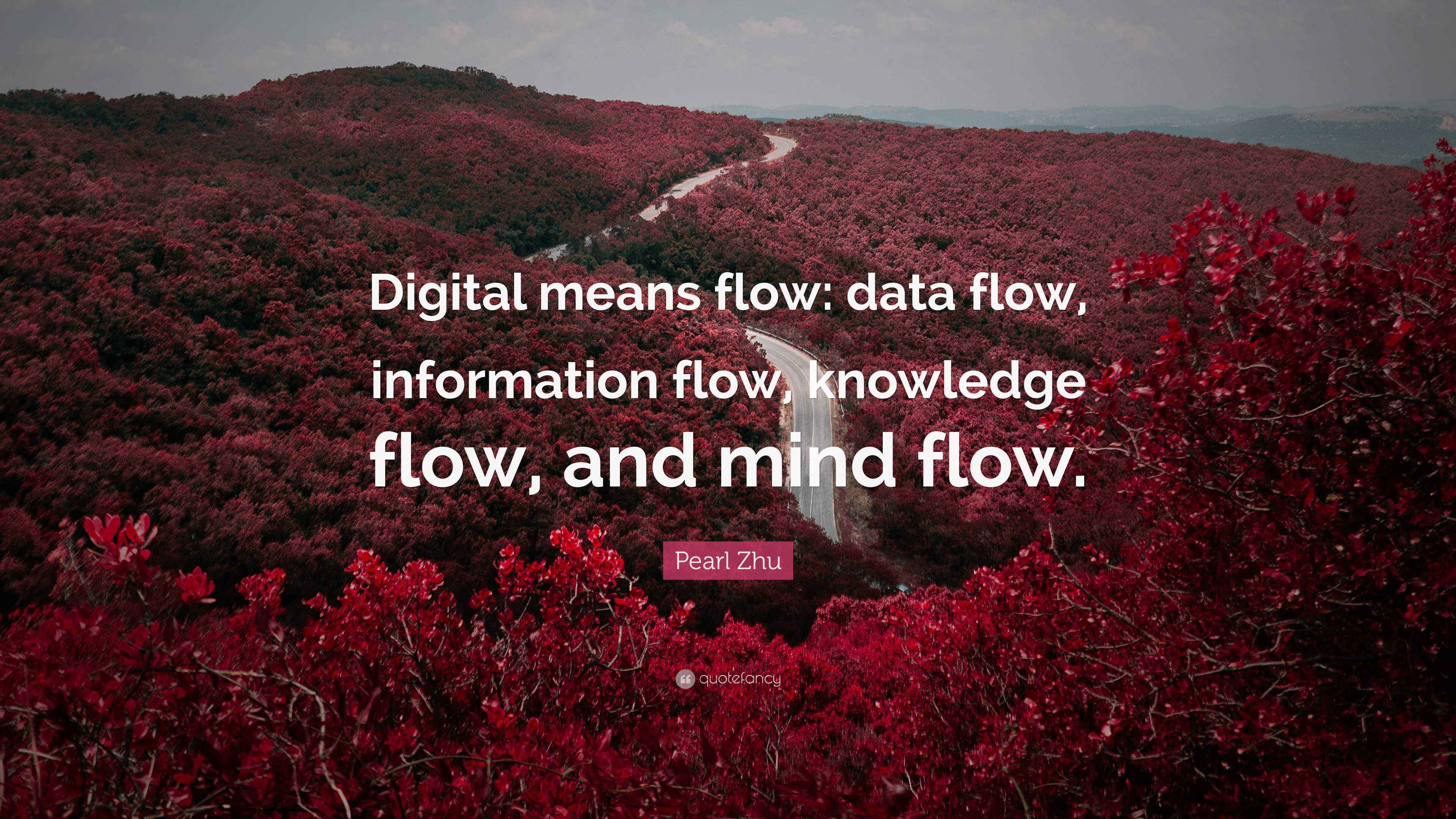 Pearl Zhu Quote: “Digital means flow: data flow, information flow ...