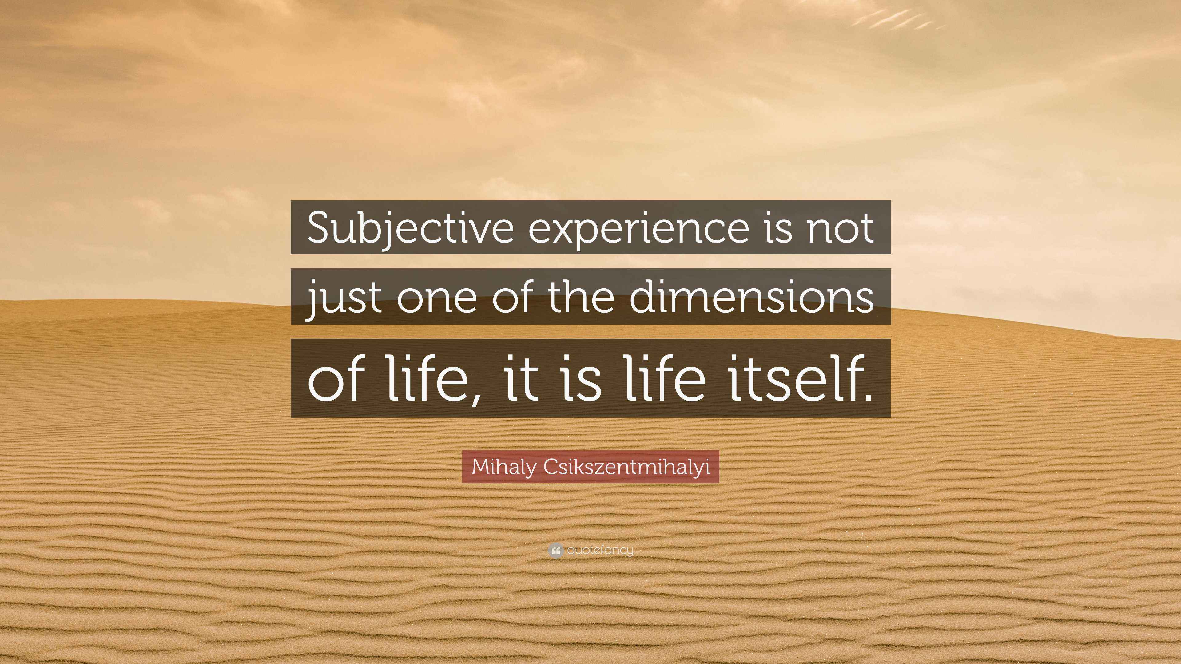 Mihaly Csikszentmihalyi Quote: “Subjective experience is not just one ...