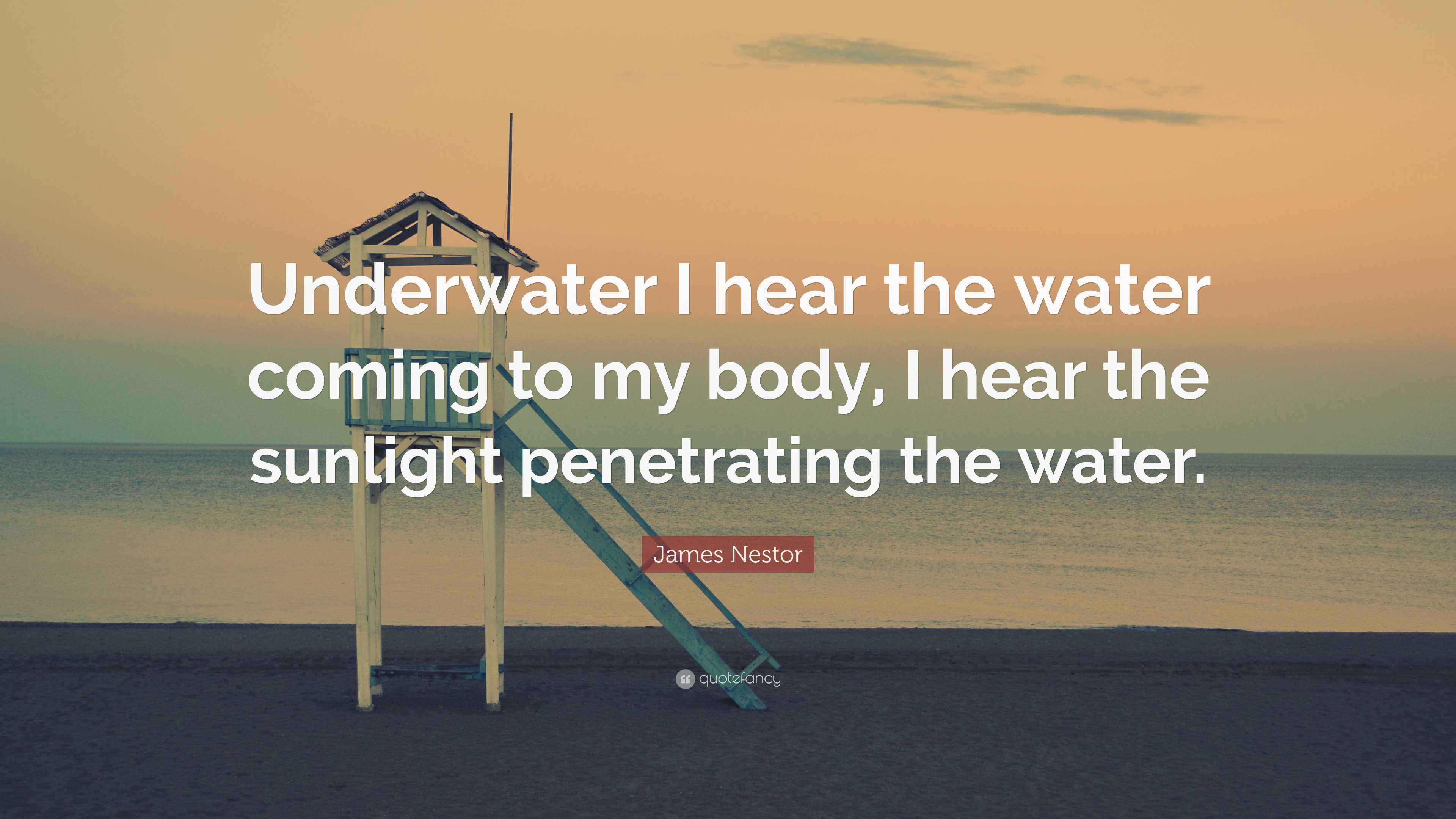 James Nestor Quote: “Underwater I hear the water coming to my body, I ...
