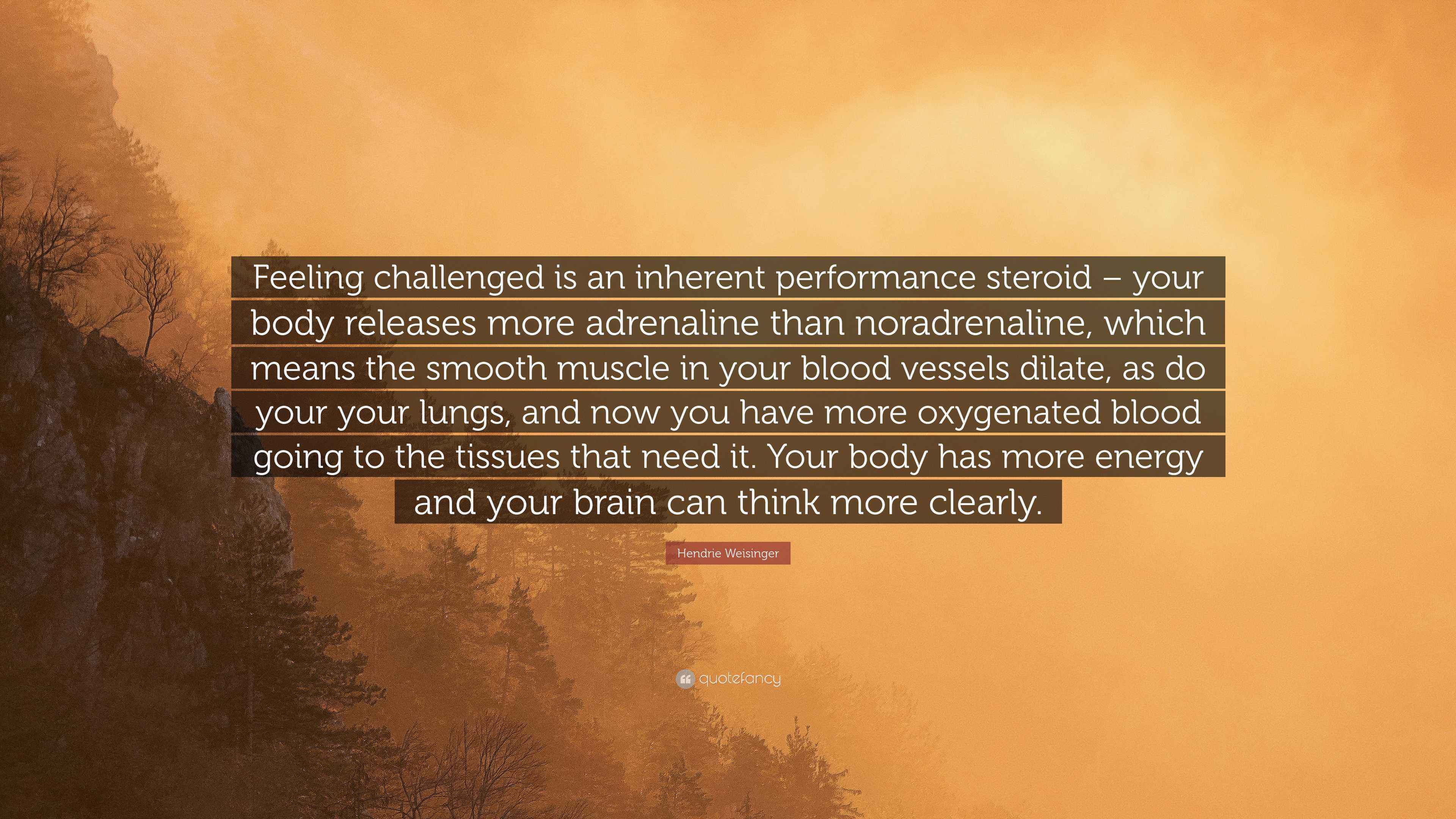 Hendrie Weisinger Quote: “Feeling challenged is an inherent performance ...