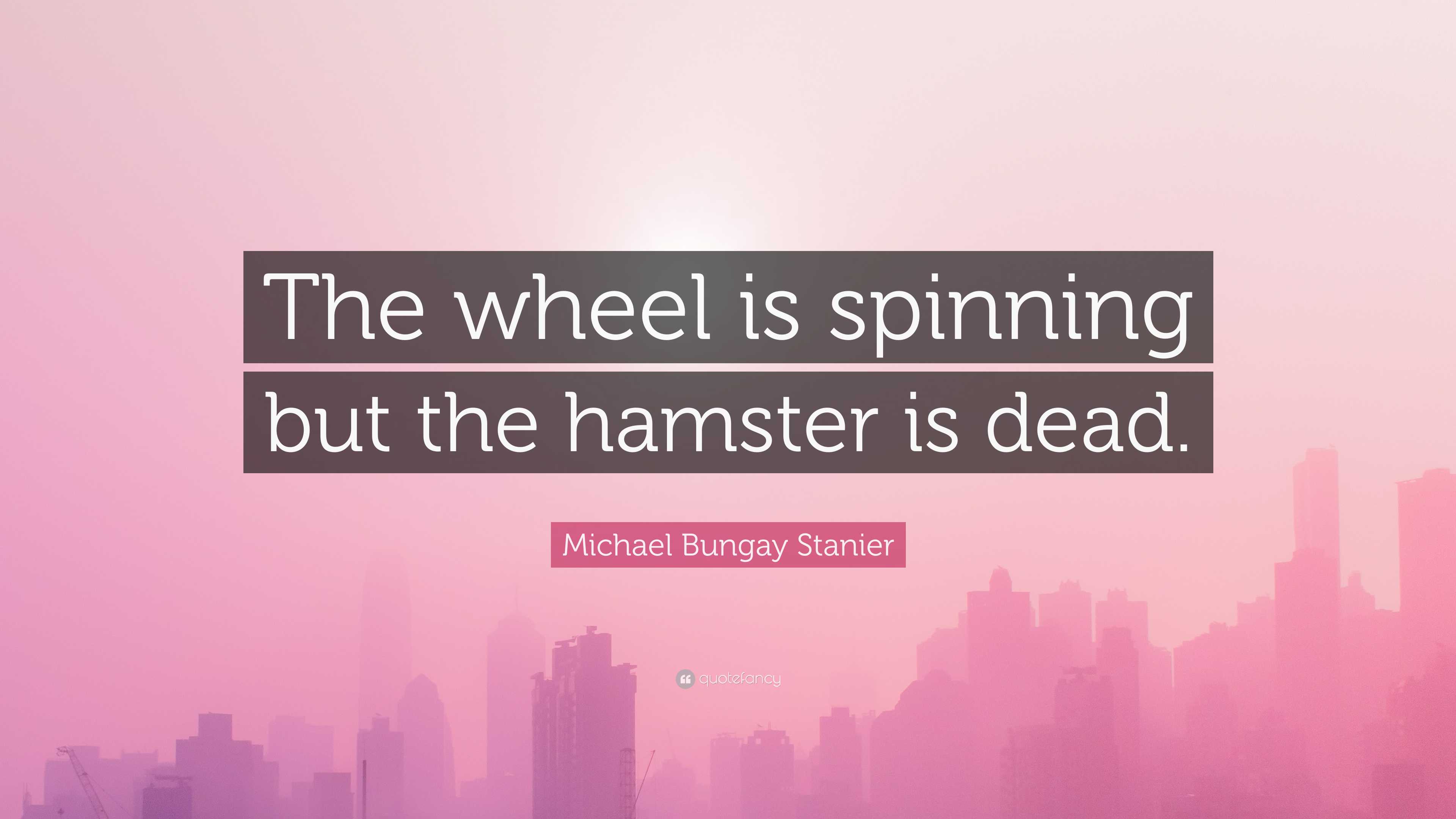 Michael Bungay Stanier Quote: “The wheel is spinning but the hamster is ...