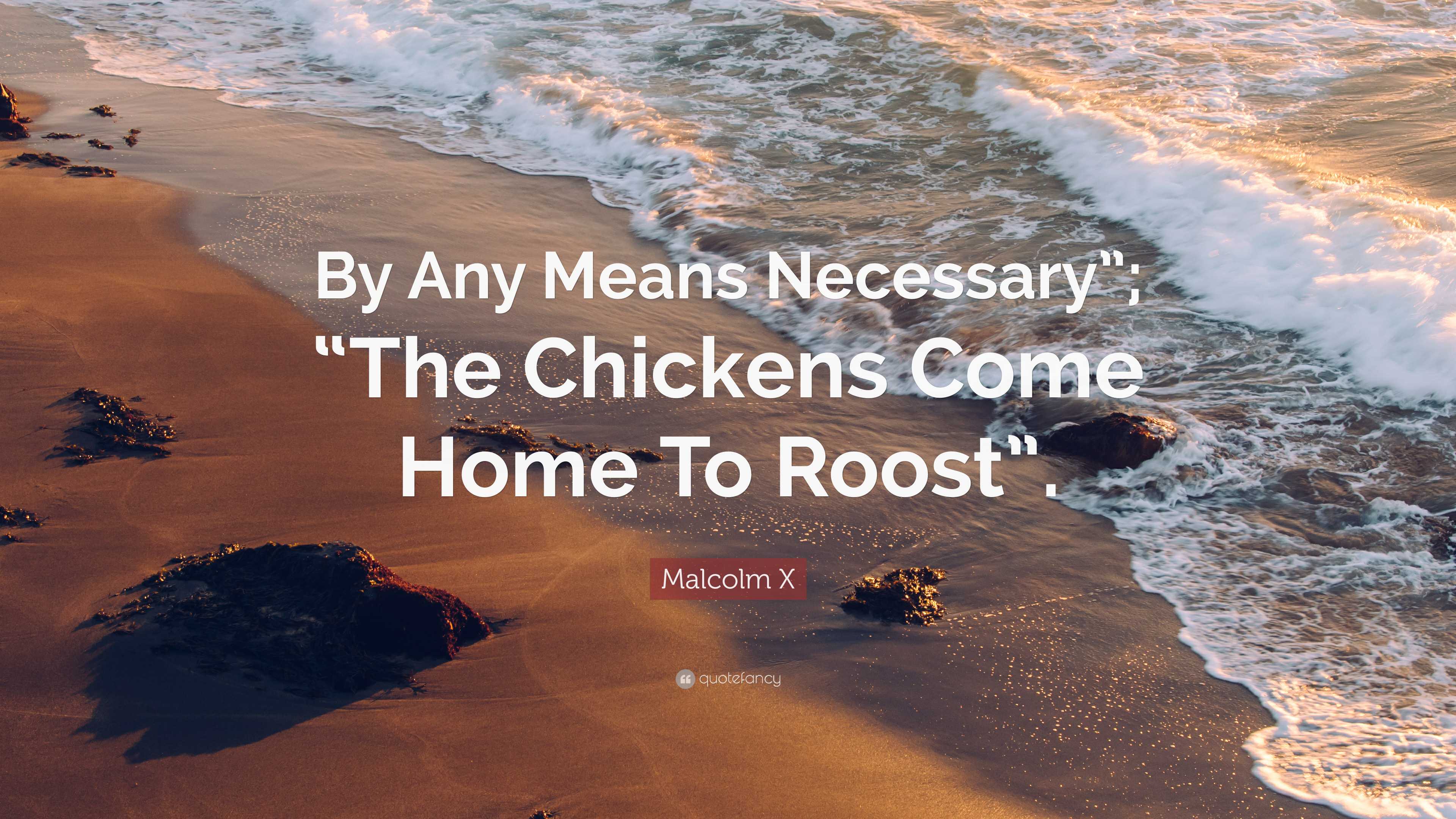 Malcolm X Quote: “By Any Means Necessary”; “The Chickens Come Home To ...