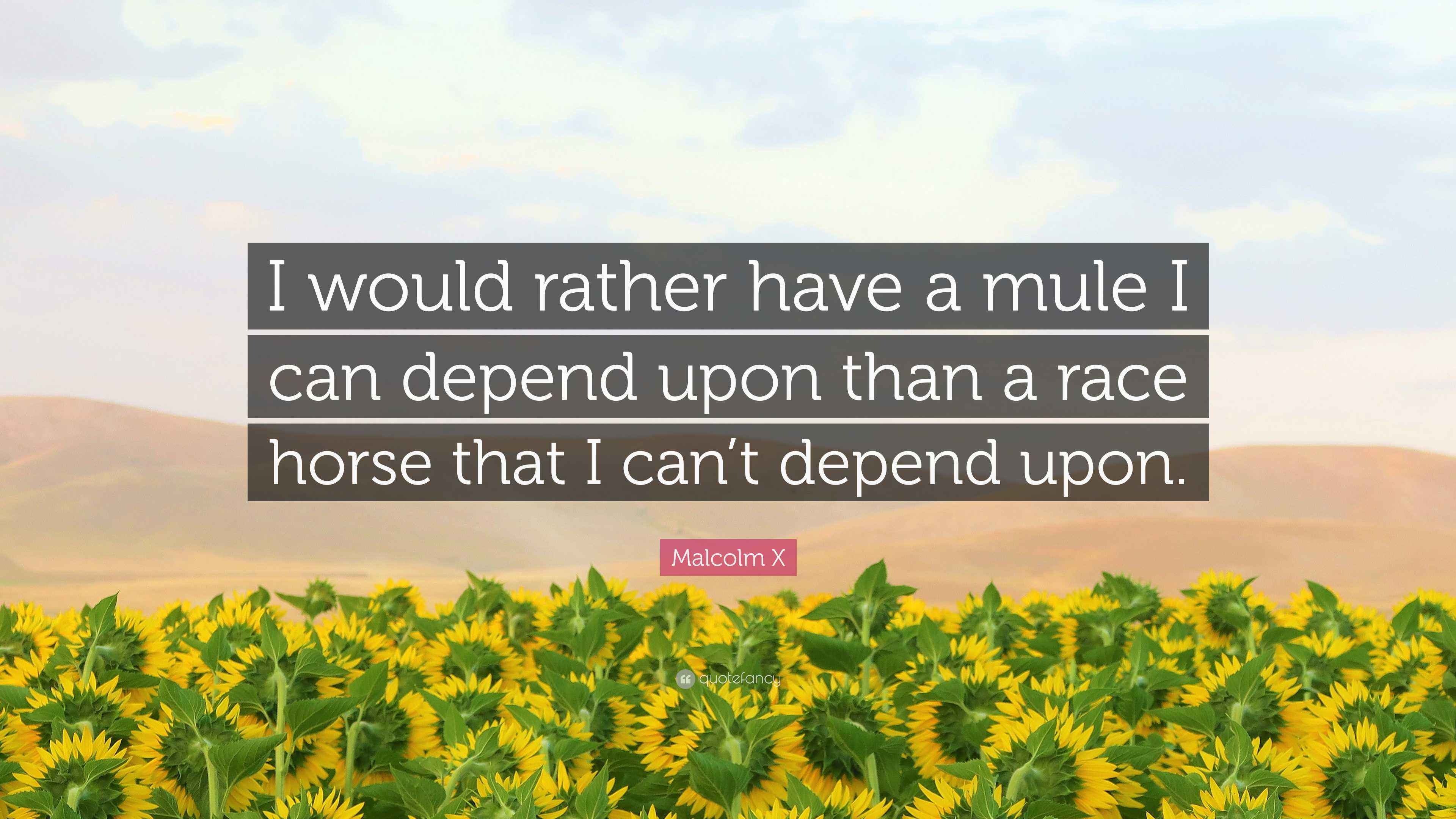 Malcolm X Quote: “I would rather have a mule I can depend upon than a ...