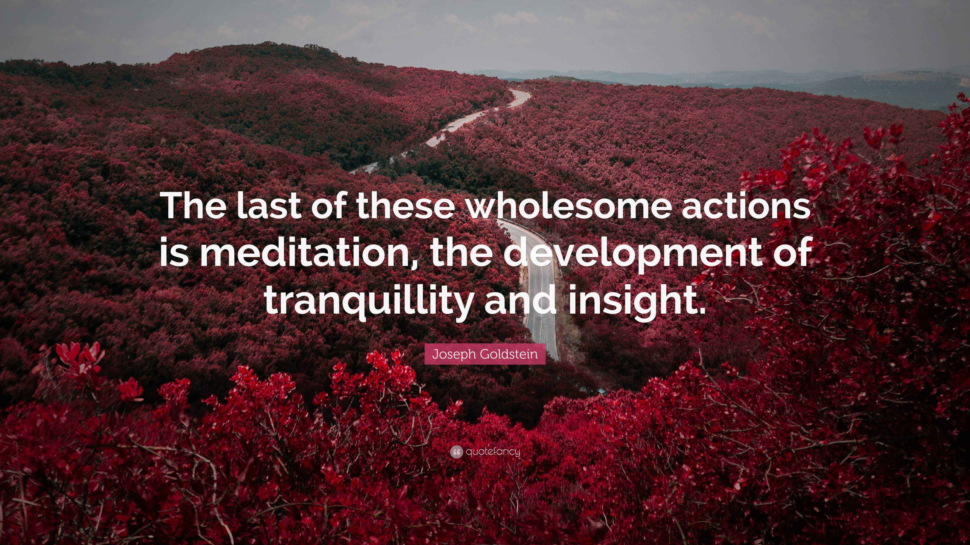 Joseph Goldstein Quote: “The last of these wholesome actions is ...