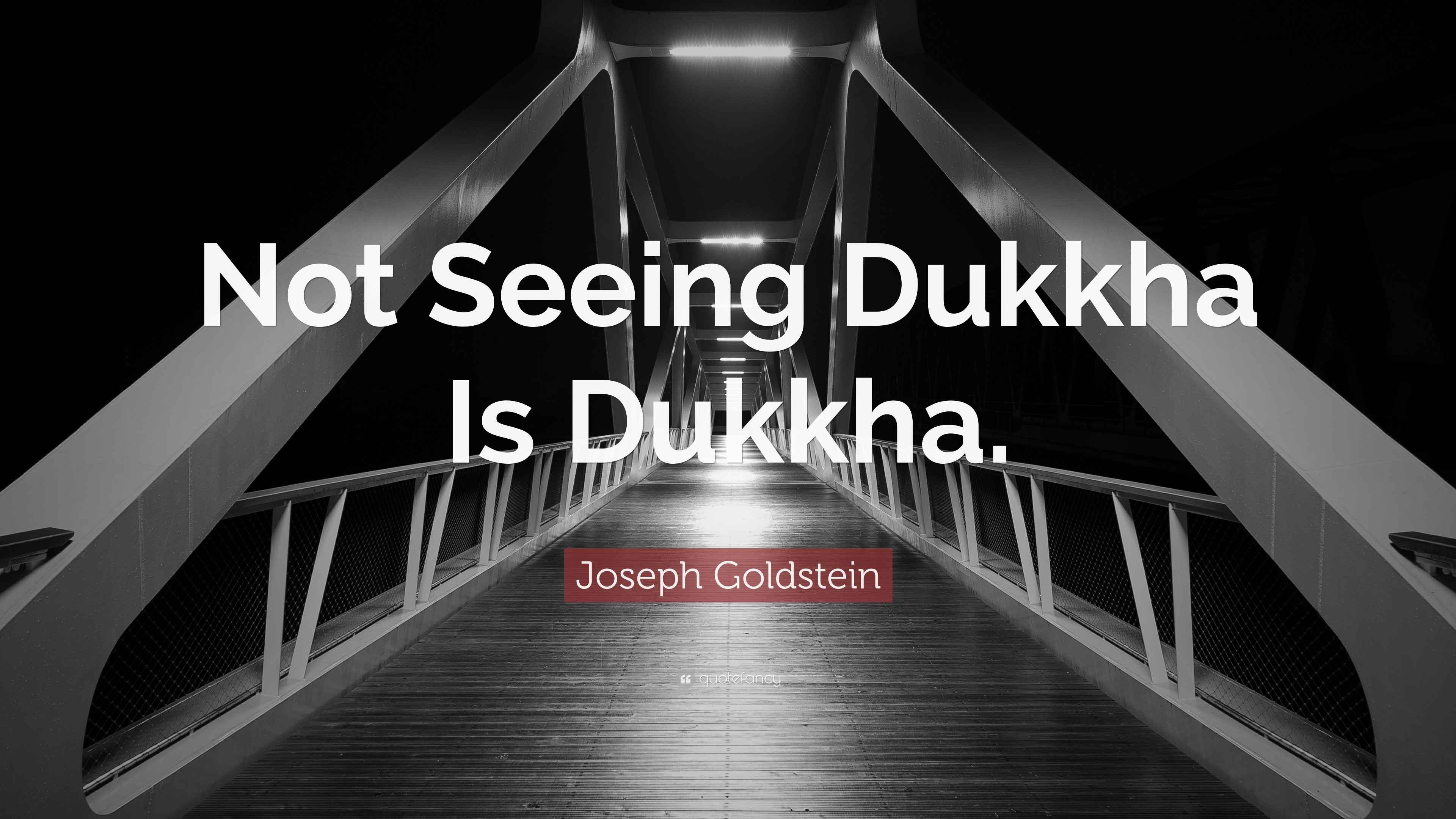 Joseph Goldstein Quote: “Not Seeing Dukkha Is Dukkha.”