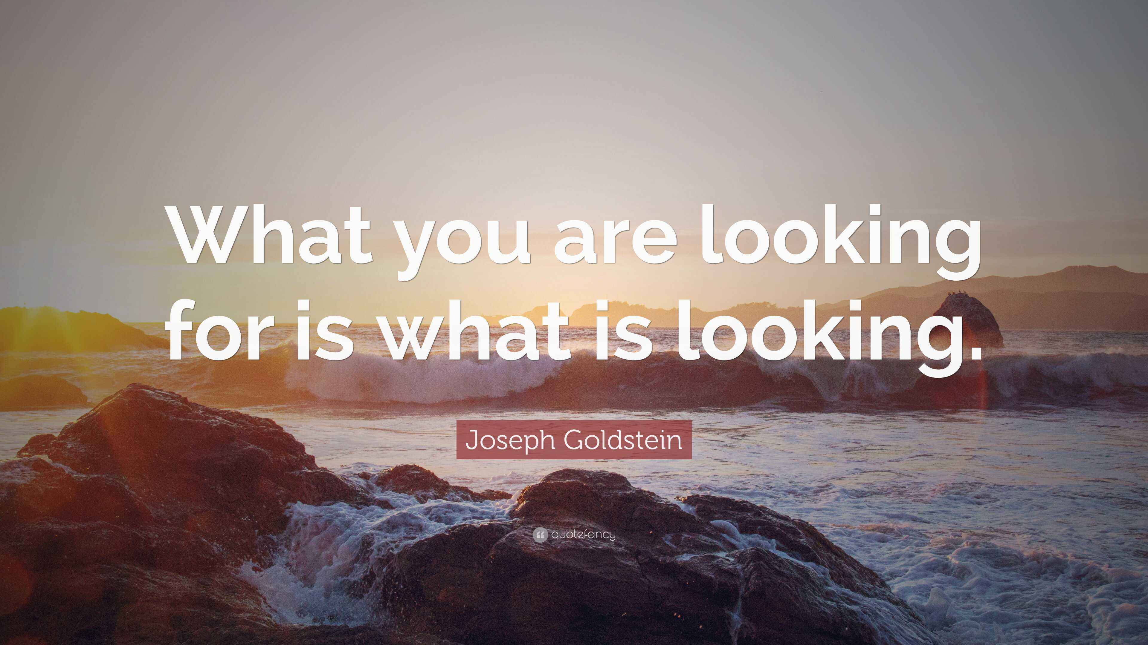 Joseph Goldstein Quote: “What you are looking for is what is looking.”