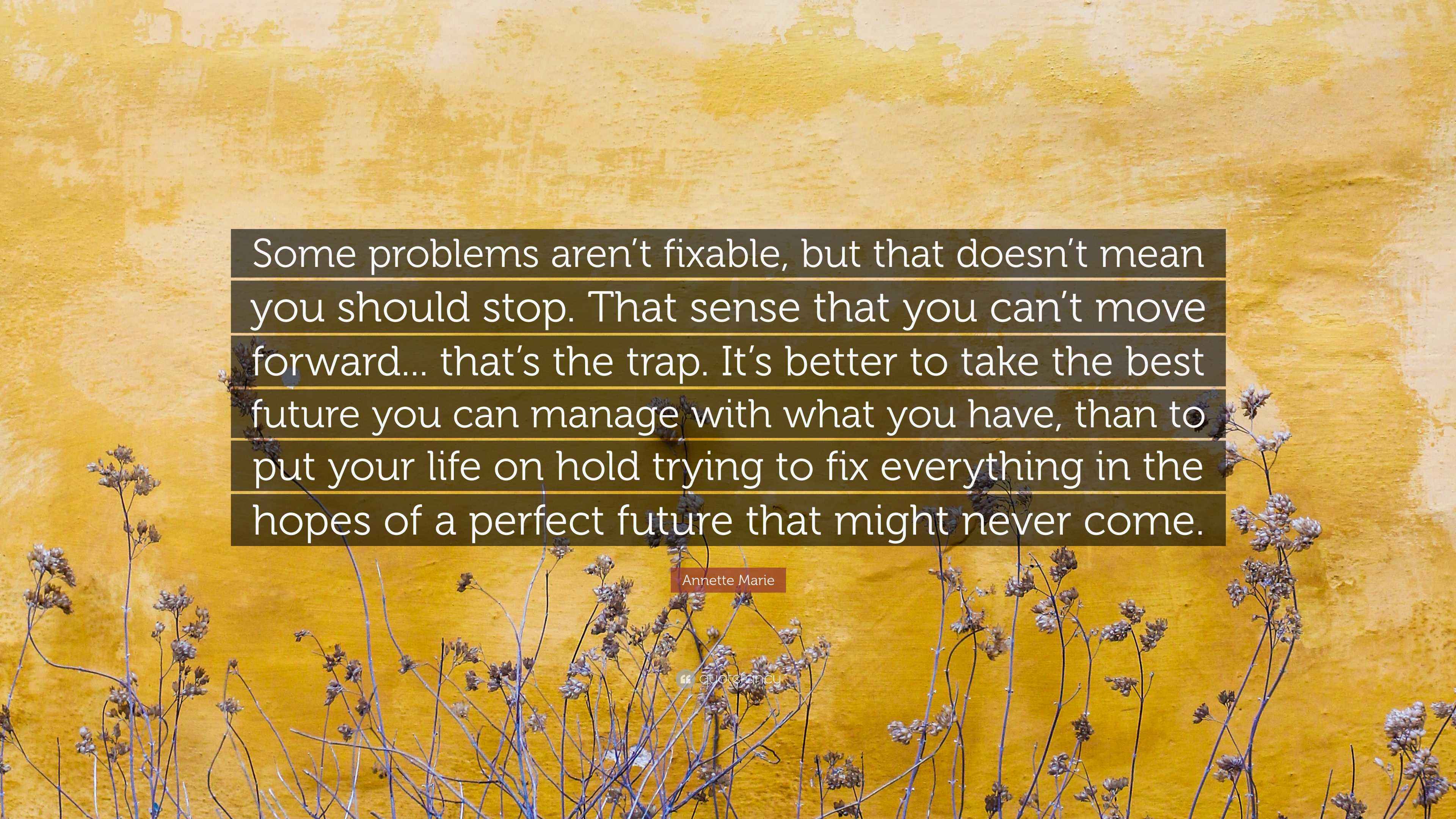 Annette Marie Quote: “Some problems aren’t fixable, but that doesn’t ...