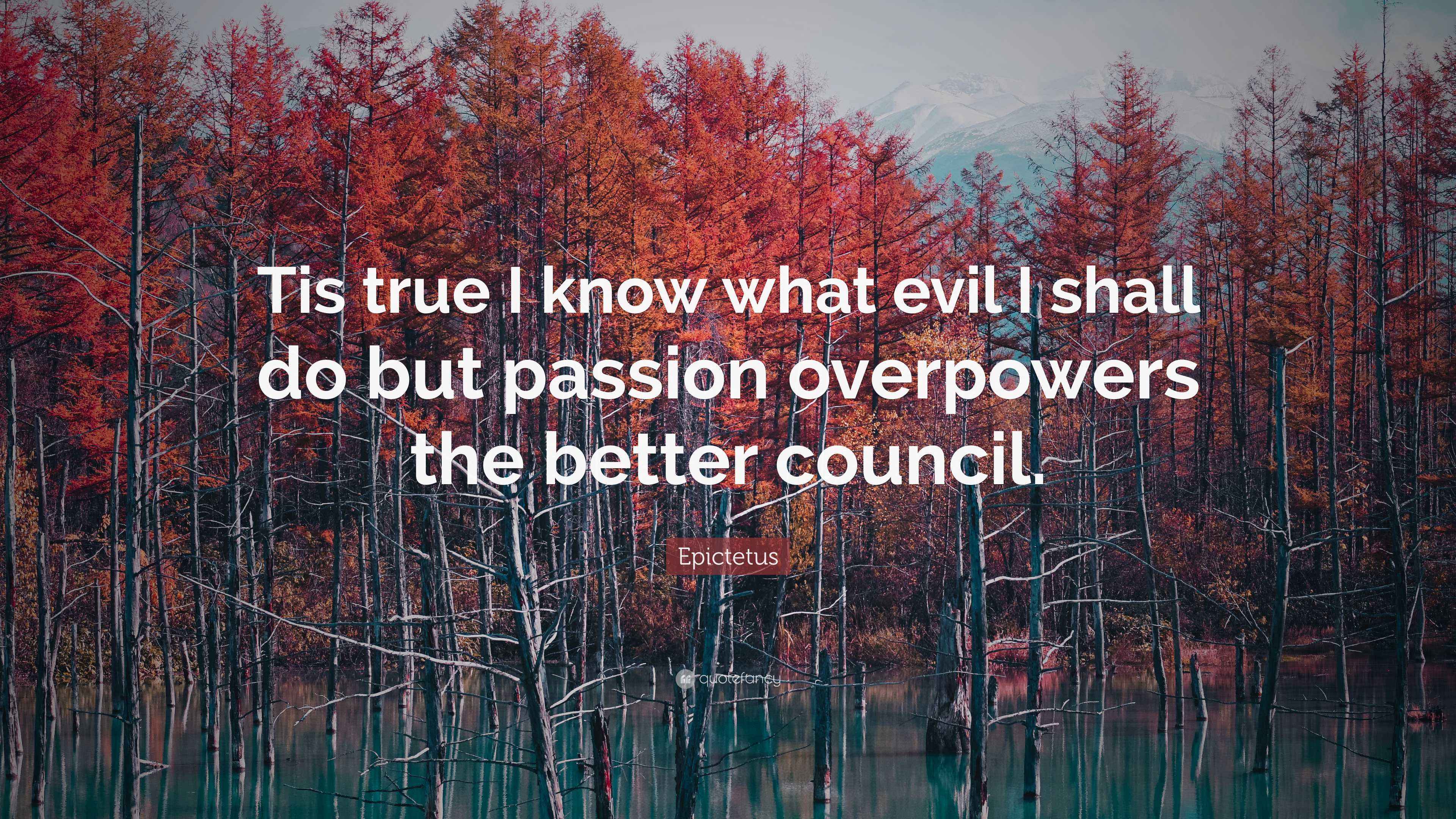 Epictetus Quote: “Tis true I know what evil I shall do but passion ...