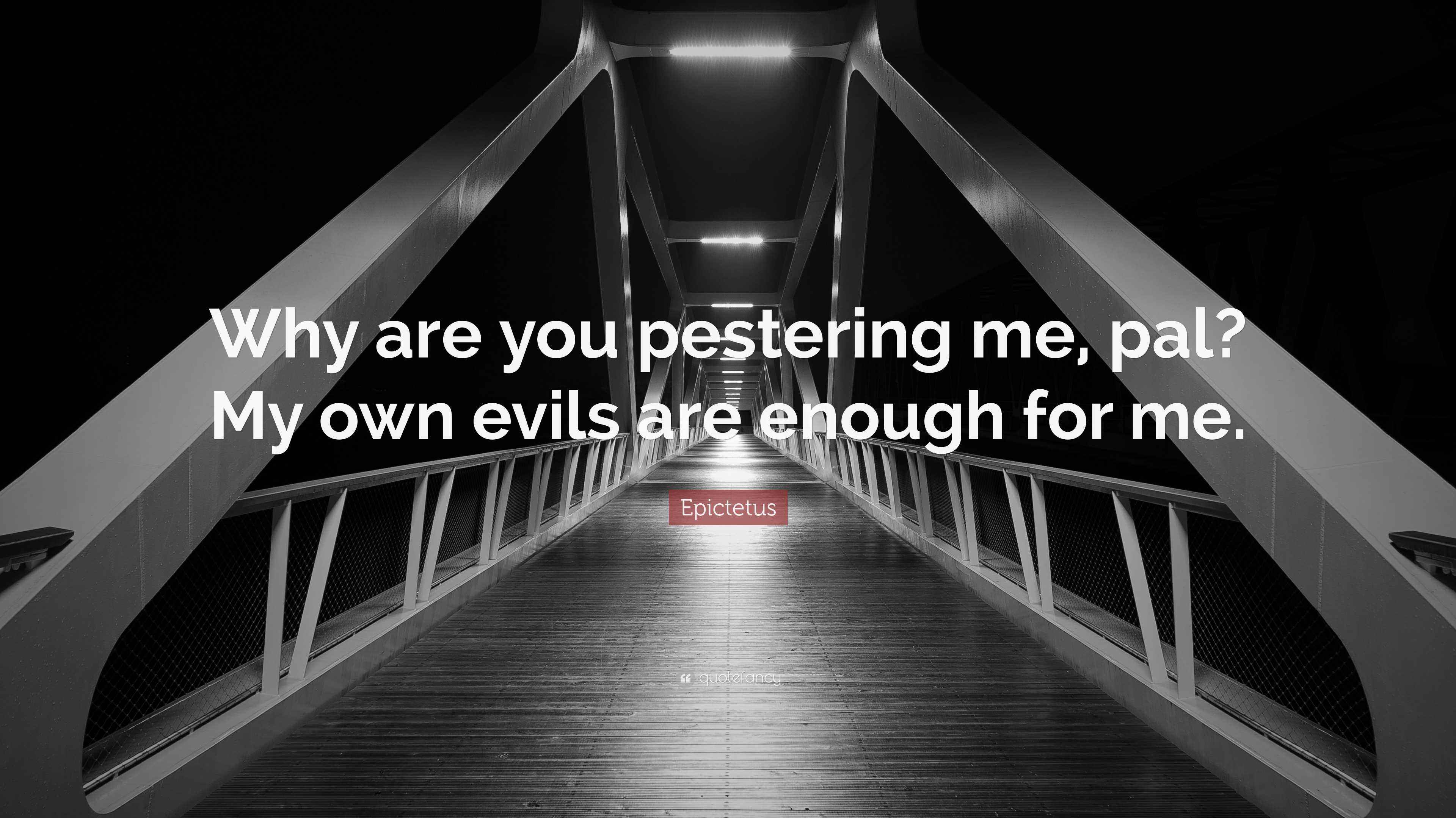 Epictetus Quote: “Why are you pestering me, pal? My own evils are ...