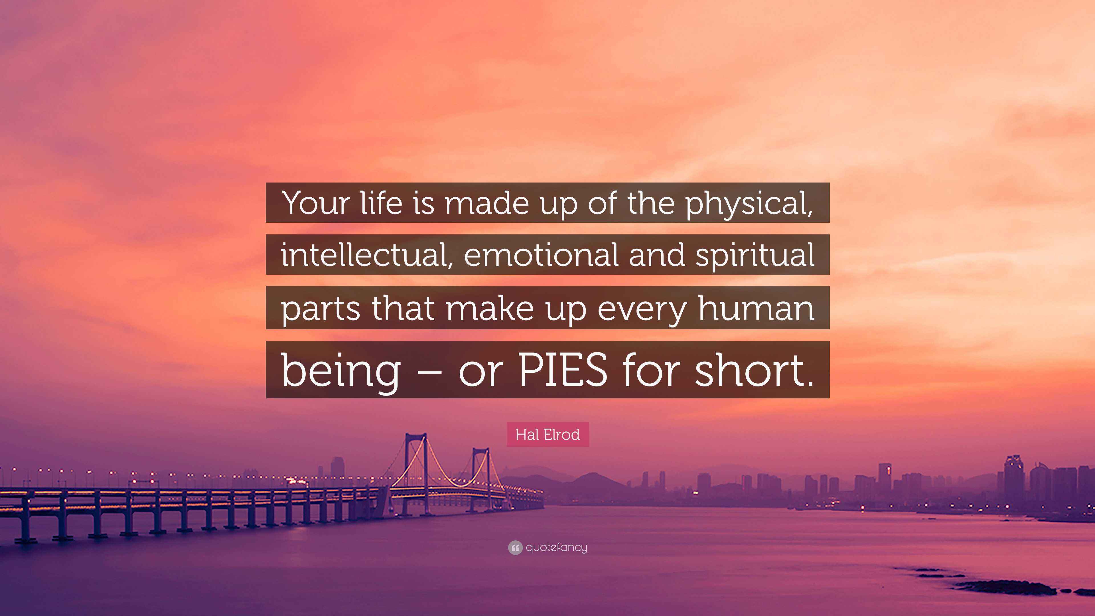 Hal Elrod Quote: “Your life is made up of the physical, intellectual ...