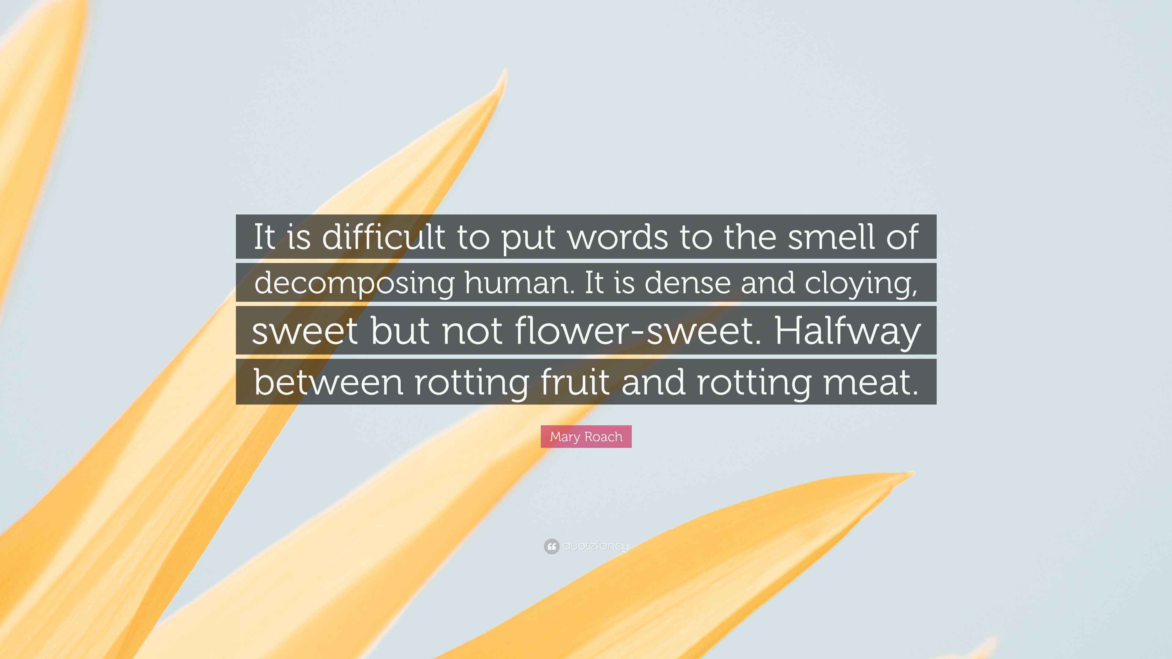 Mary Roach Quote: “It is difficult to put words to the smell of ...