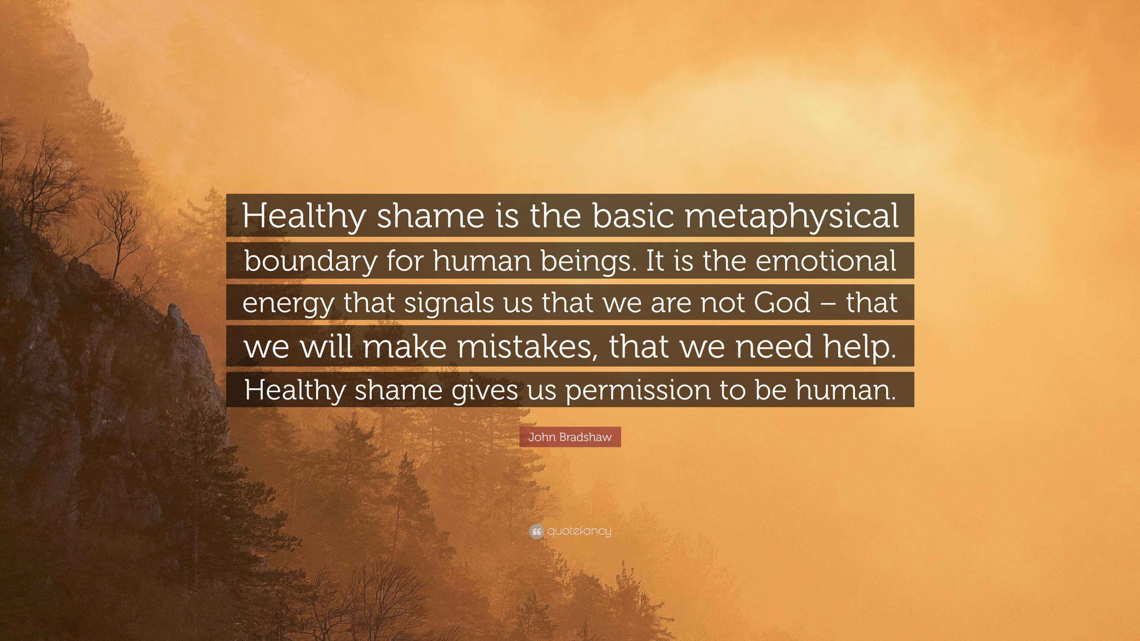 John Bradshaw Quote: “Healthy shame is the basic metaphysical boundary ...