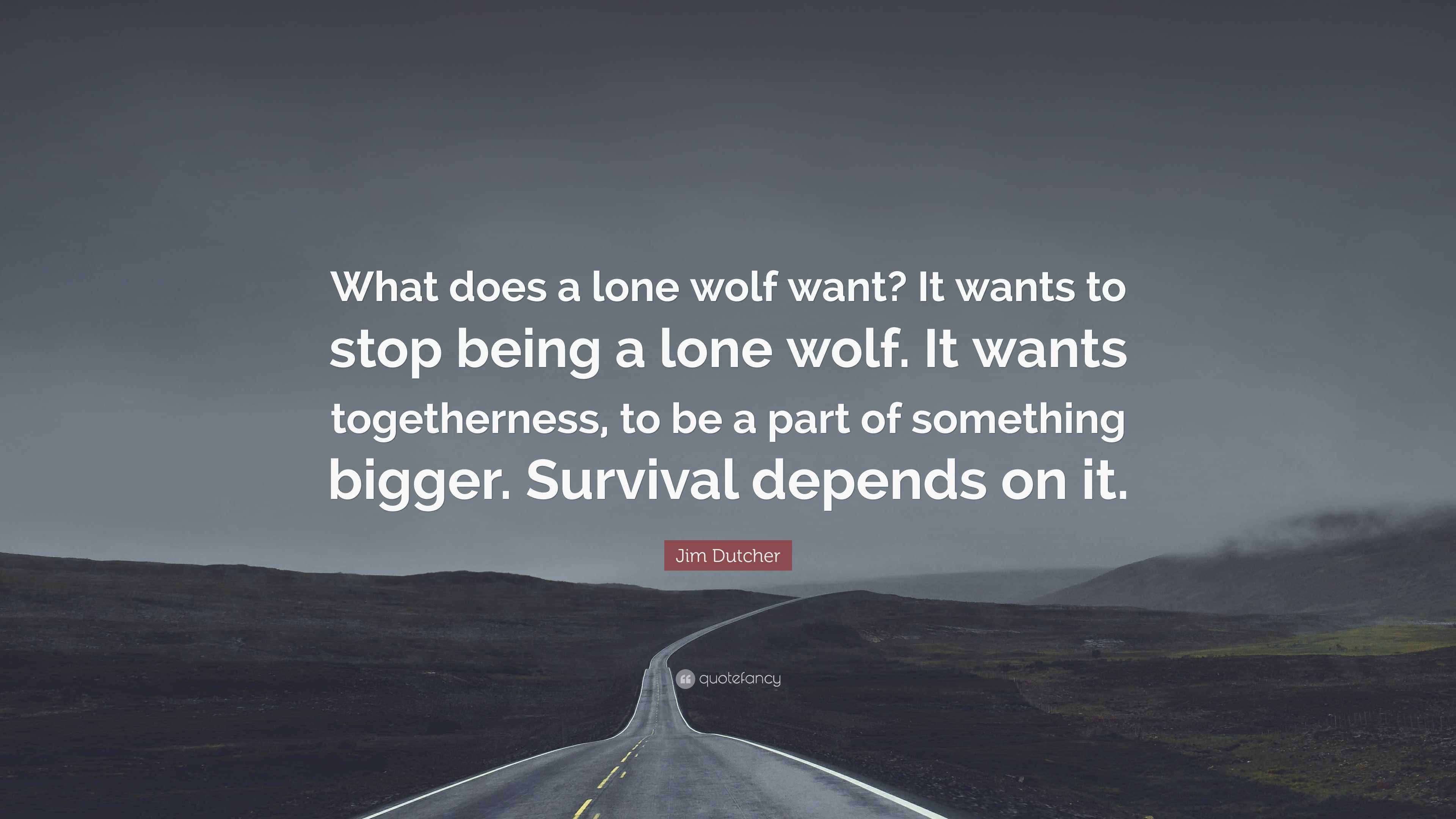 Jim Dutcher Quote: “What does a lone wolf want? It wants to stop being ...