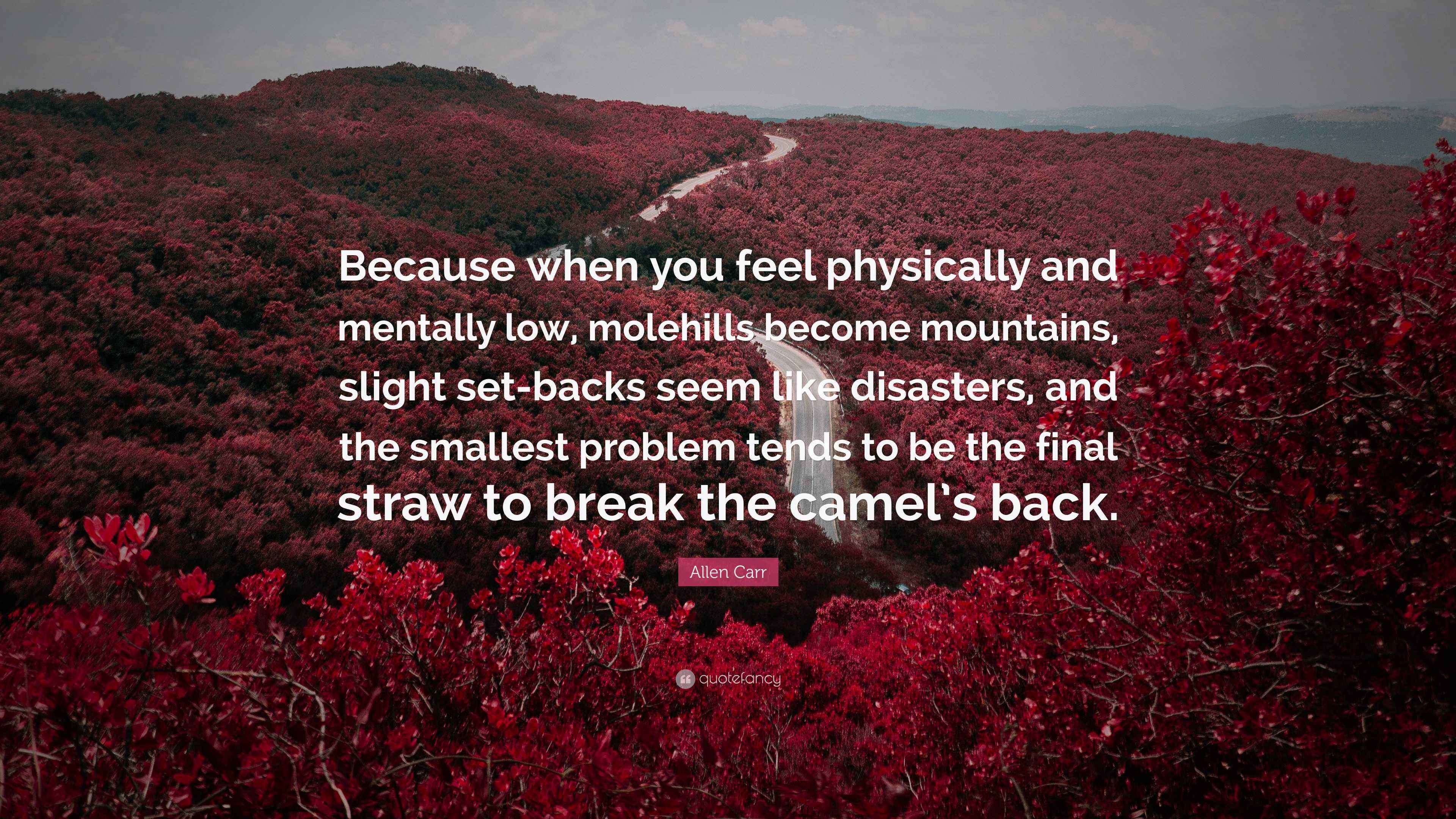 Allen Carr Quote: “Because when you feel physically and mentally low ...