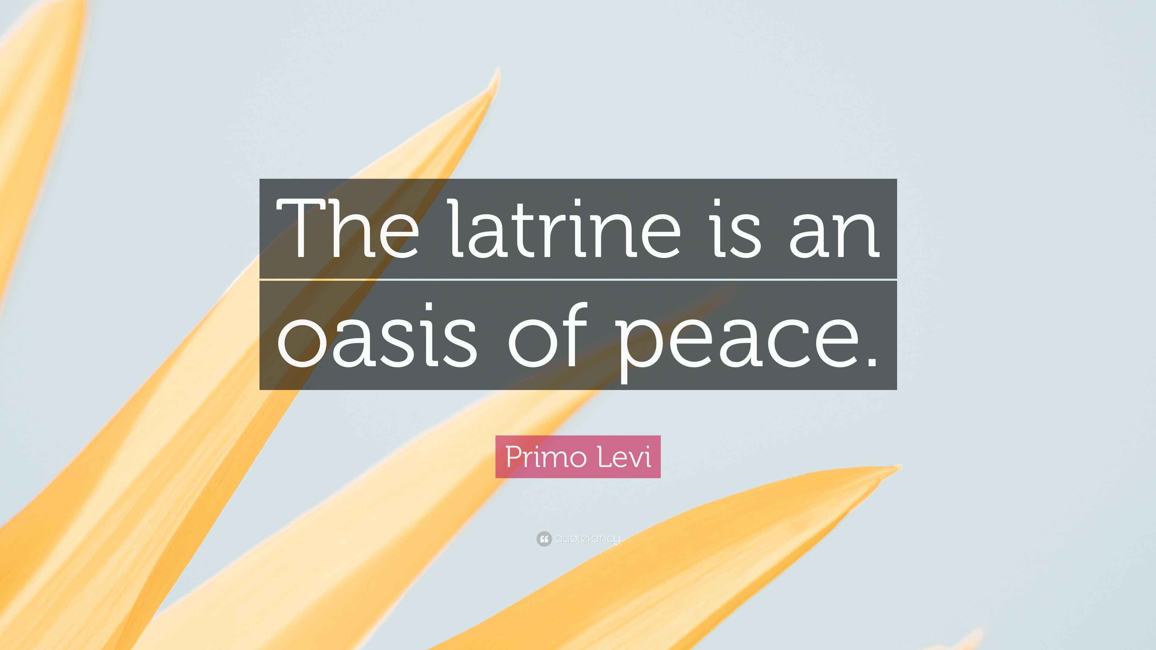 Primo Levi Quote: “The latrine is an oasis of peace.”