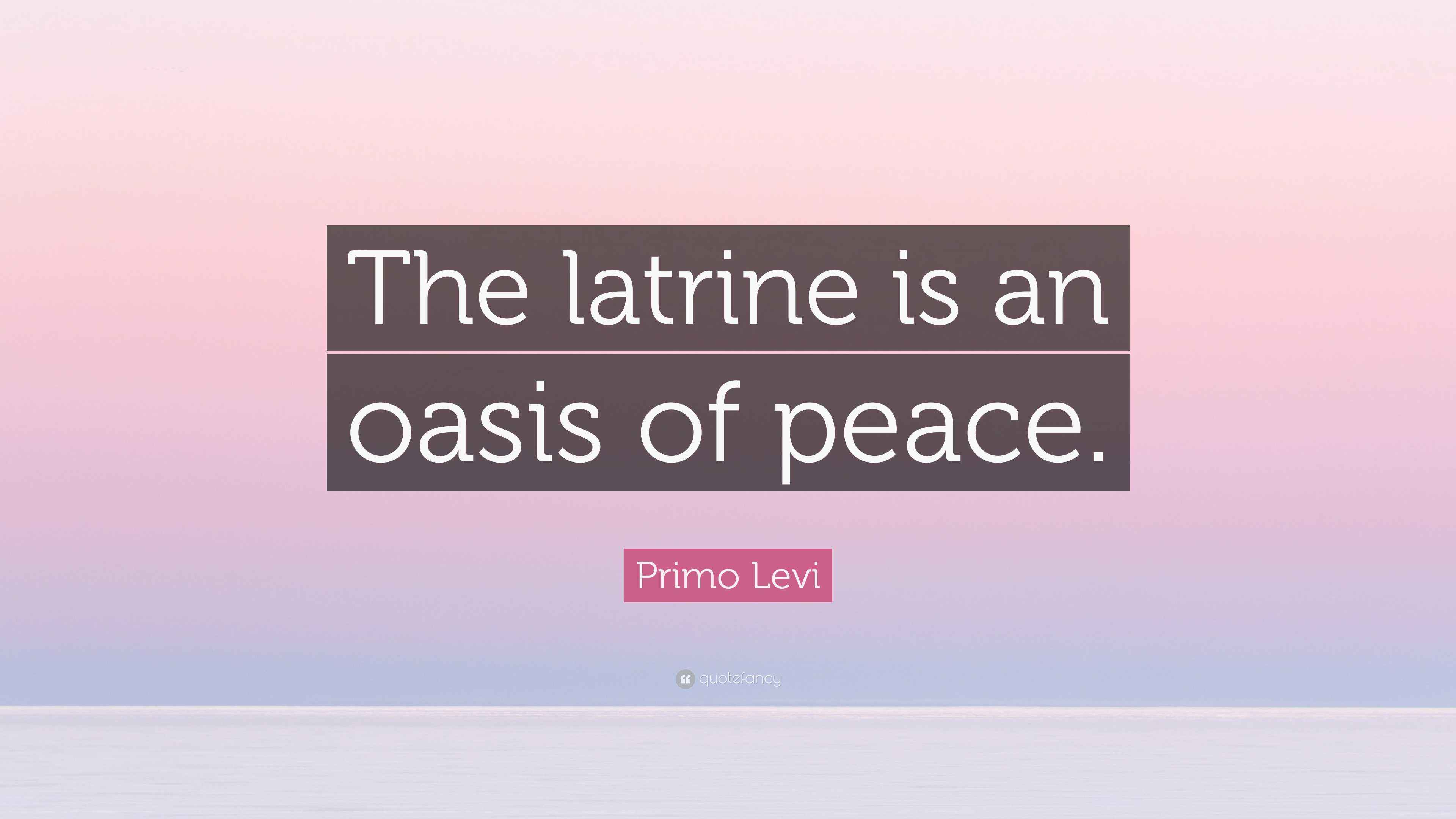 Primo Levi Quote: “The latrine is an oasis of peace.”