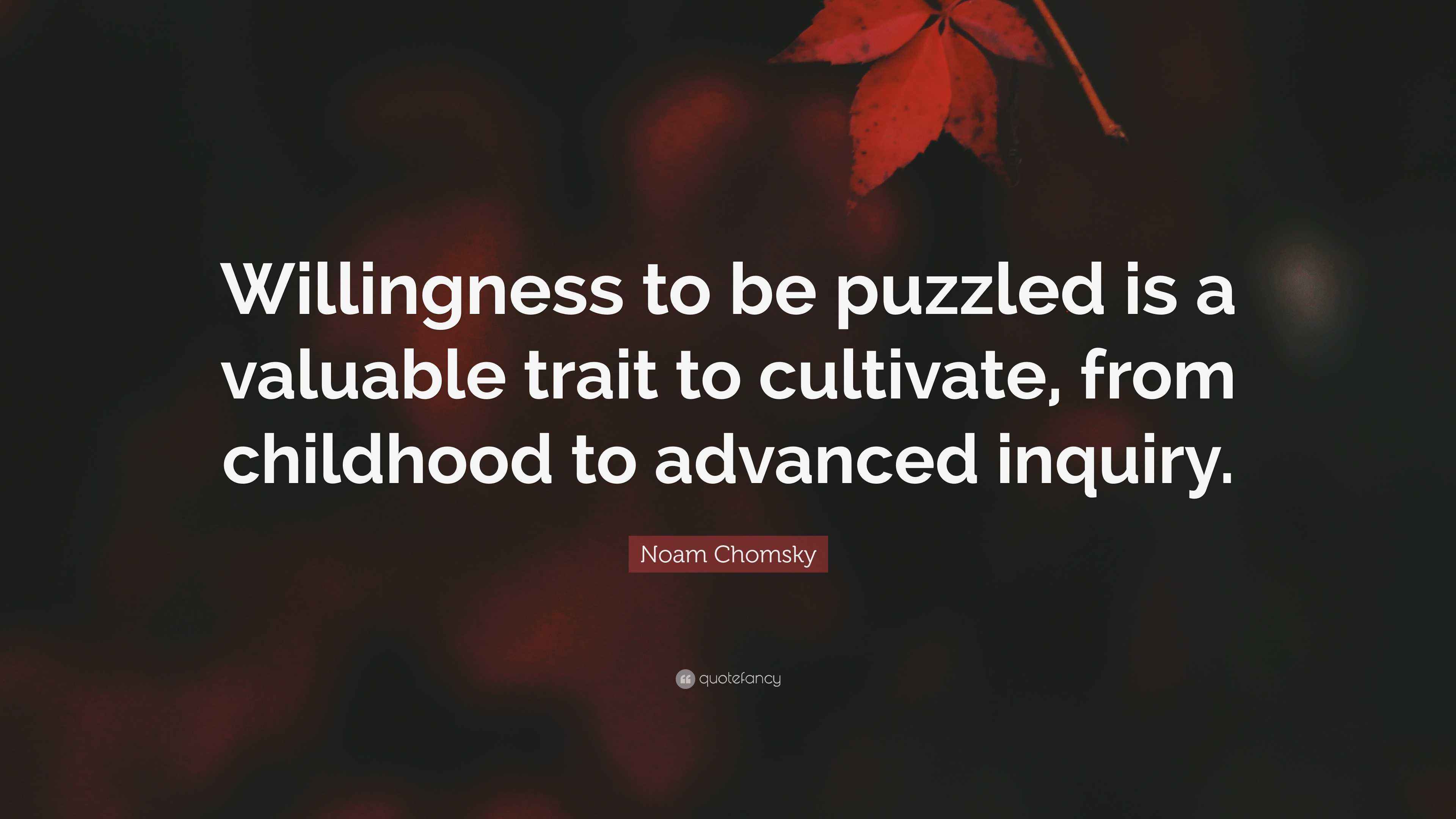 Noam Chomsky Quote: “Willingness to be puzzled is a valuable trait to ...