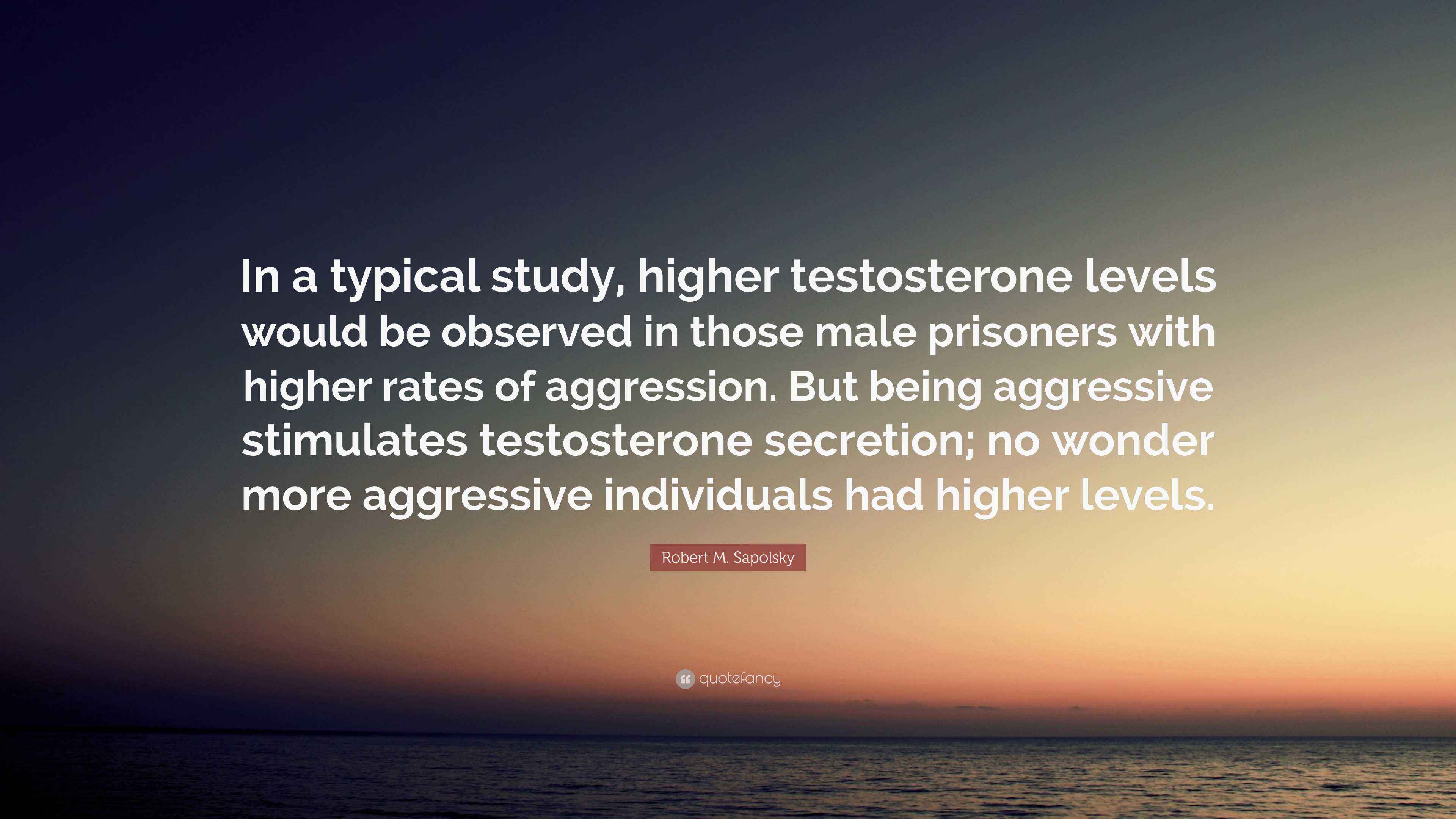 Robert M. Sapolsky Quote: “In a typical study, higher testosterone ...