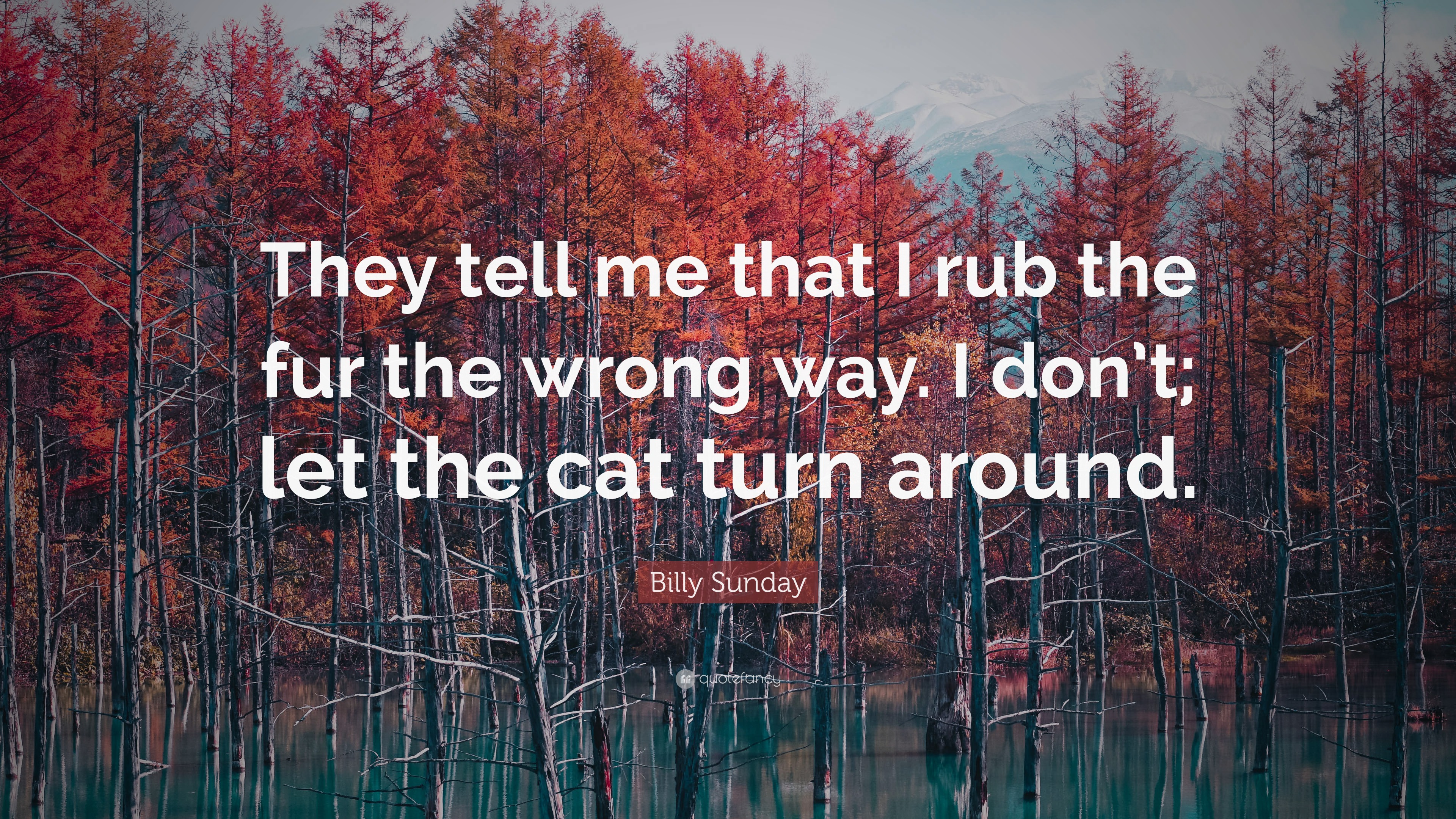 Billy Sunday Quote: “They tell me that I rub the fur the wrong way. I ...