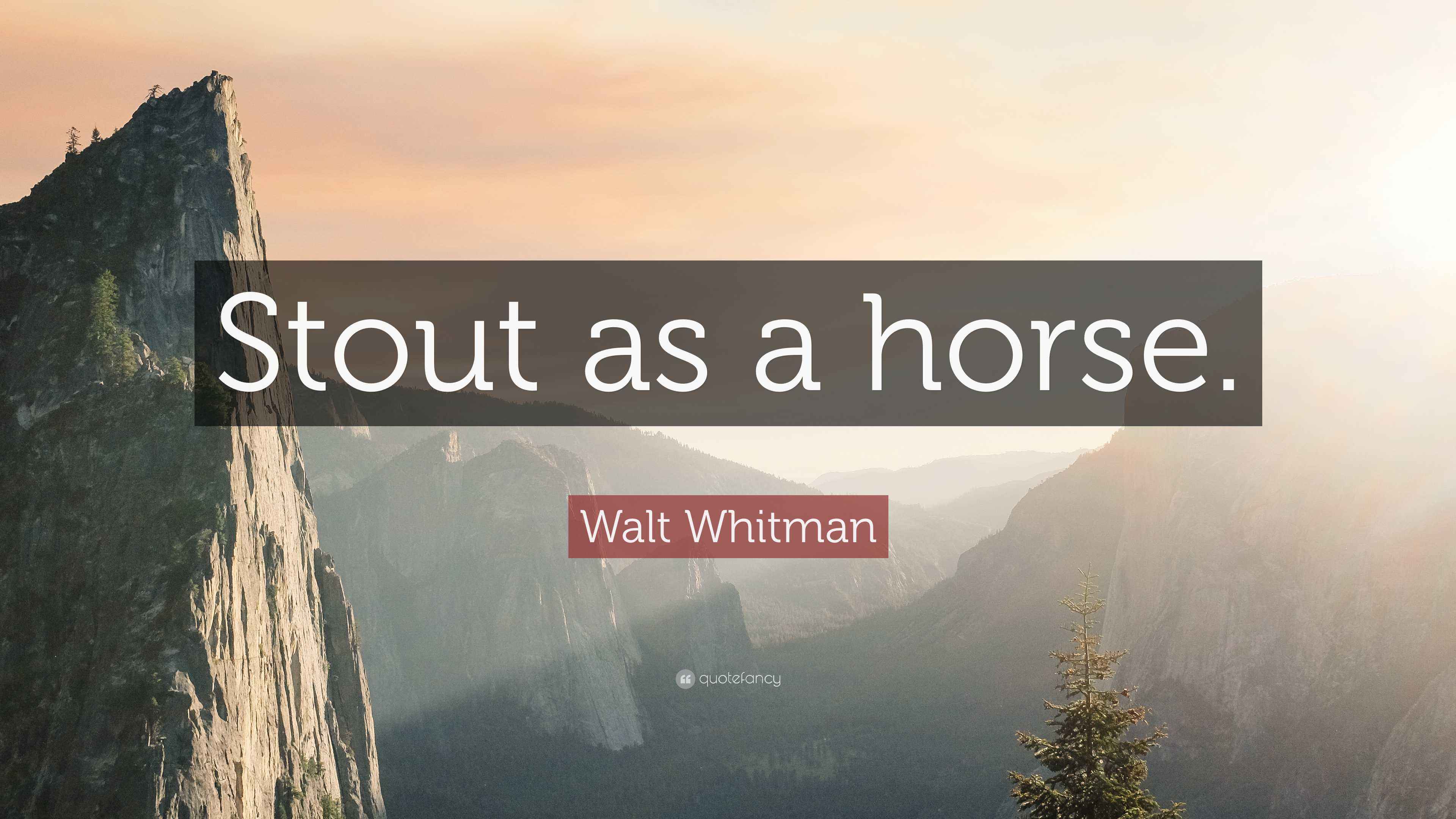 Walt Whitman Quote: “Stout as a horse.”