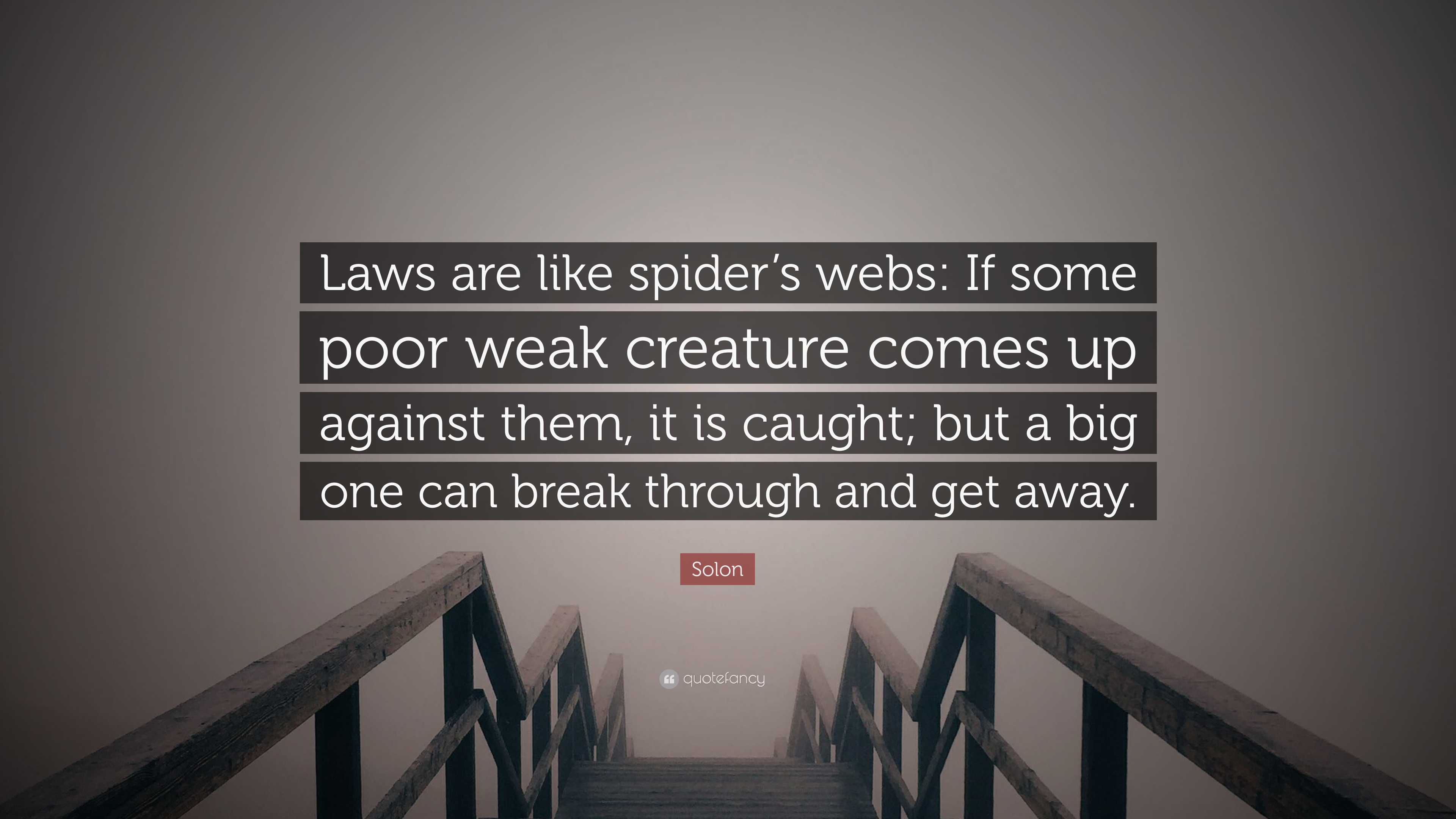 Solon Quote: “Laws are like spider’s webs: If some poor weak creature ...