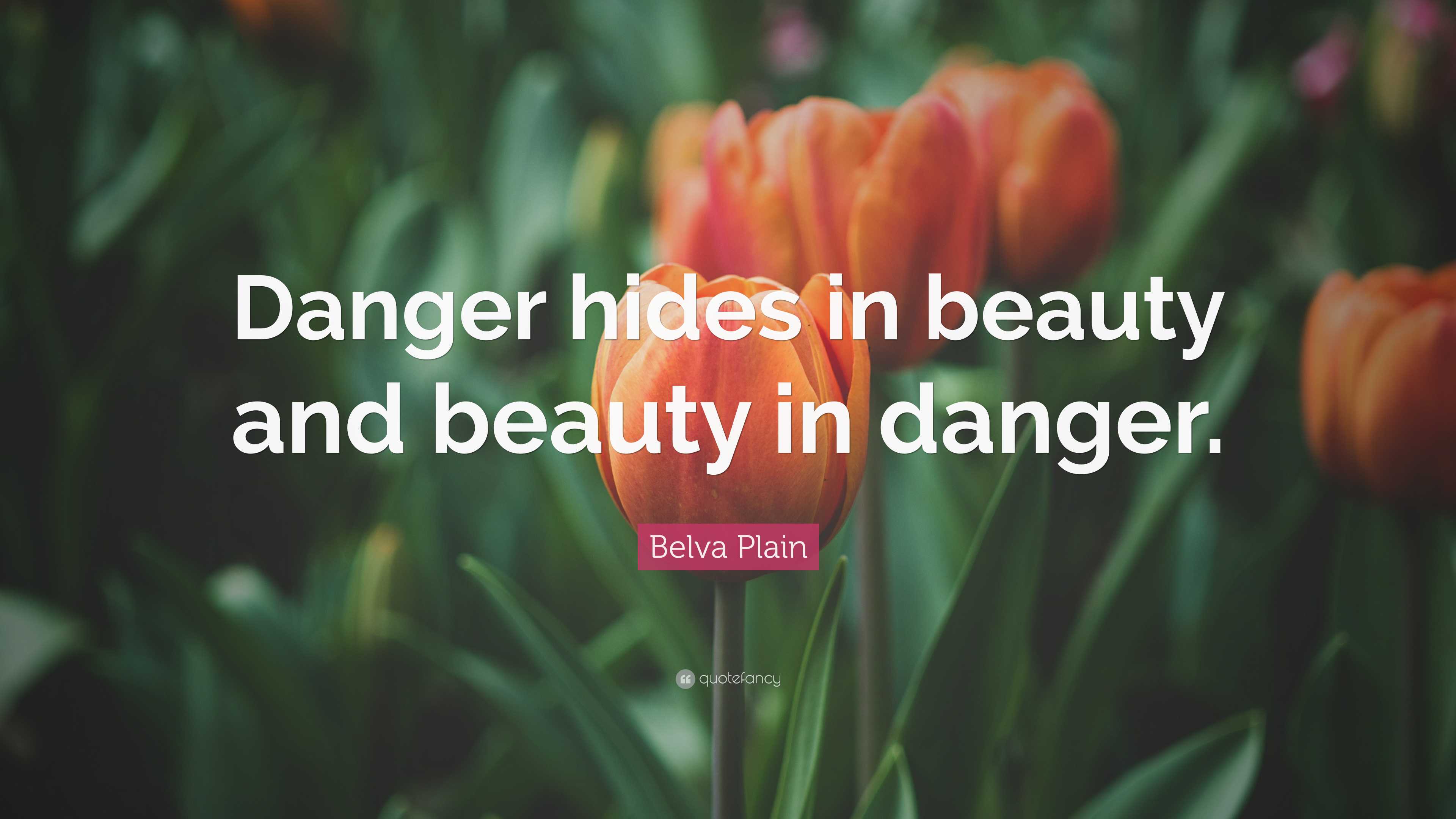 Belva Plain Quote: “Danger hides in beauty and beauty in danger.”