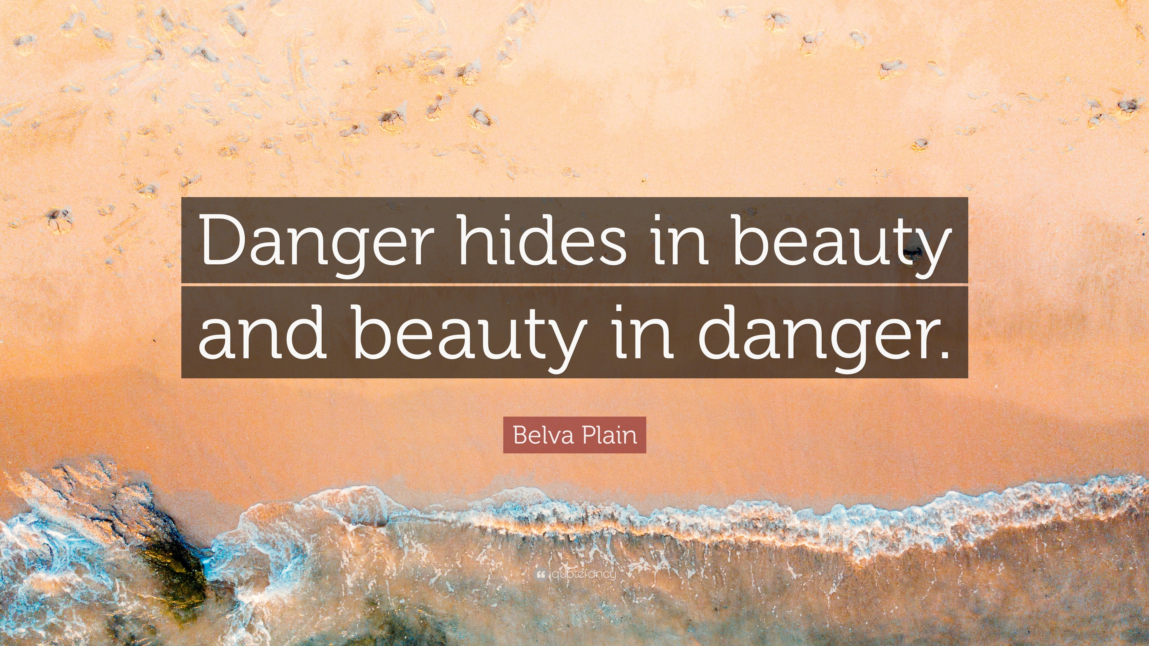 Belva Plain Quote: “Danger hides in beauty and beauty in danger.”