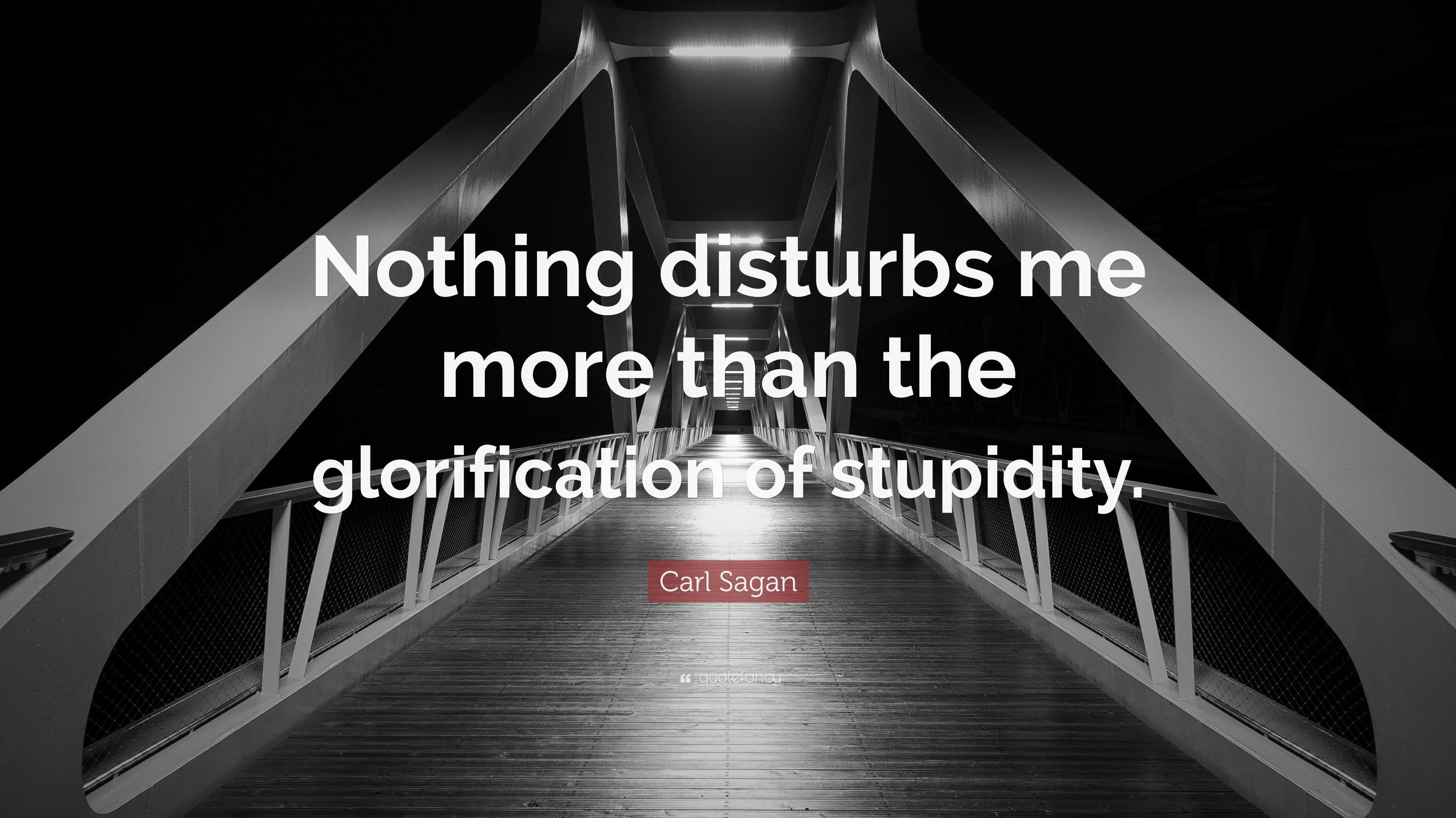 Carl Sagan Quote: “Nothing disturbs me more than the glorification of ...