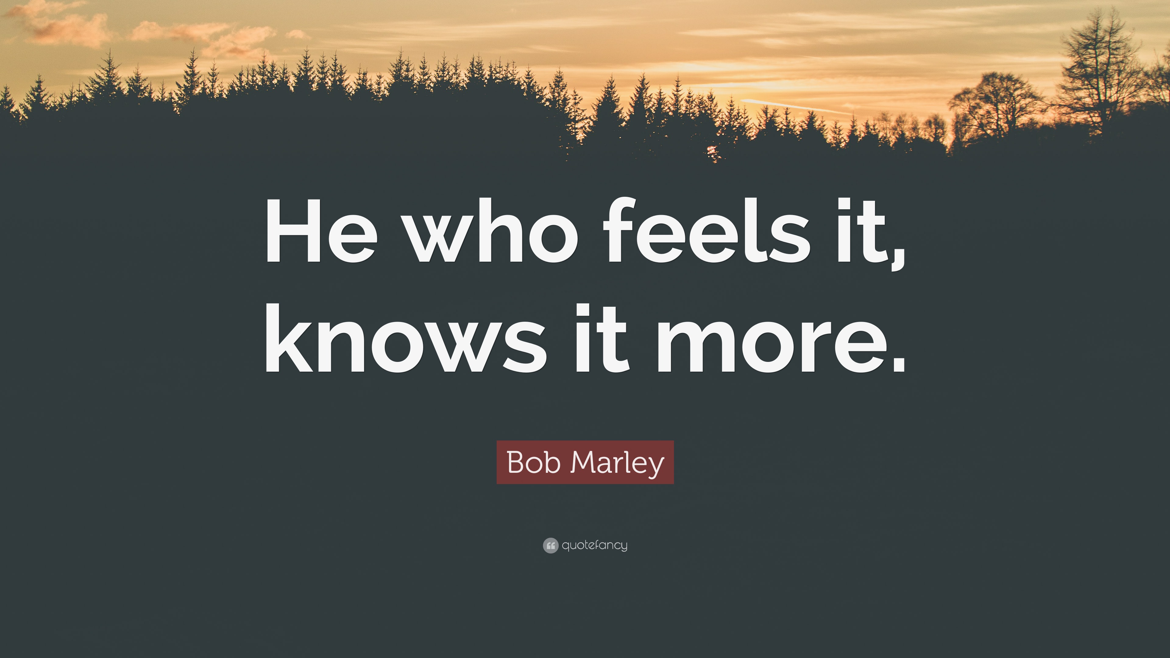Bob Marley Quote: “He who feels it, knows it more.”